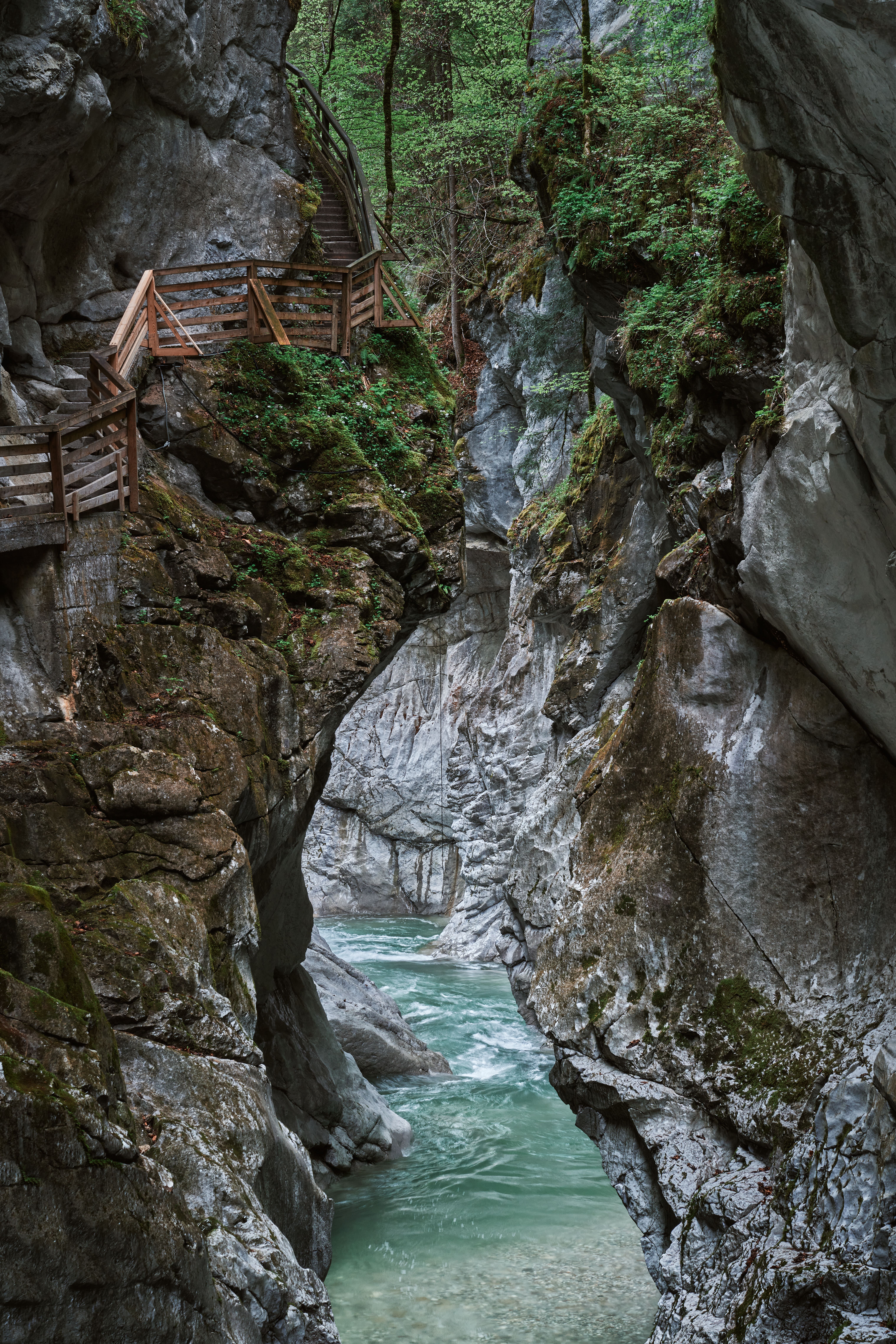 Scenic Gorge View in Scheffau am Tennengebirge · Free Stock Photo