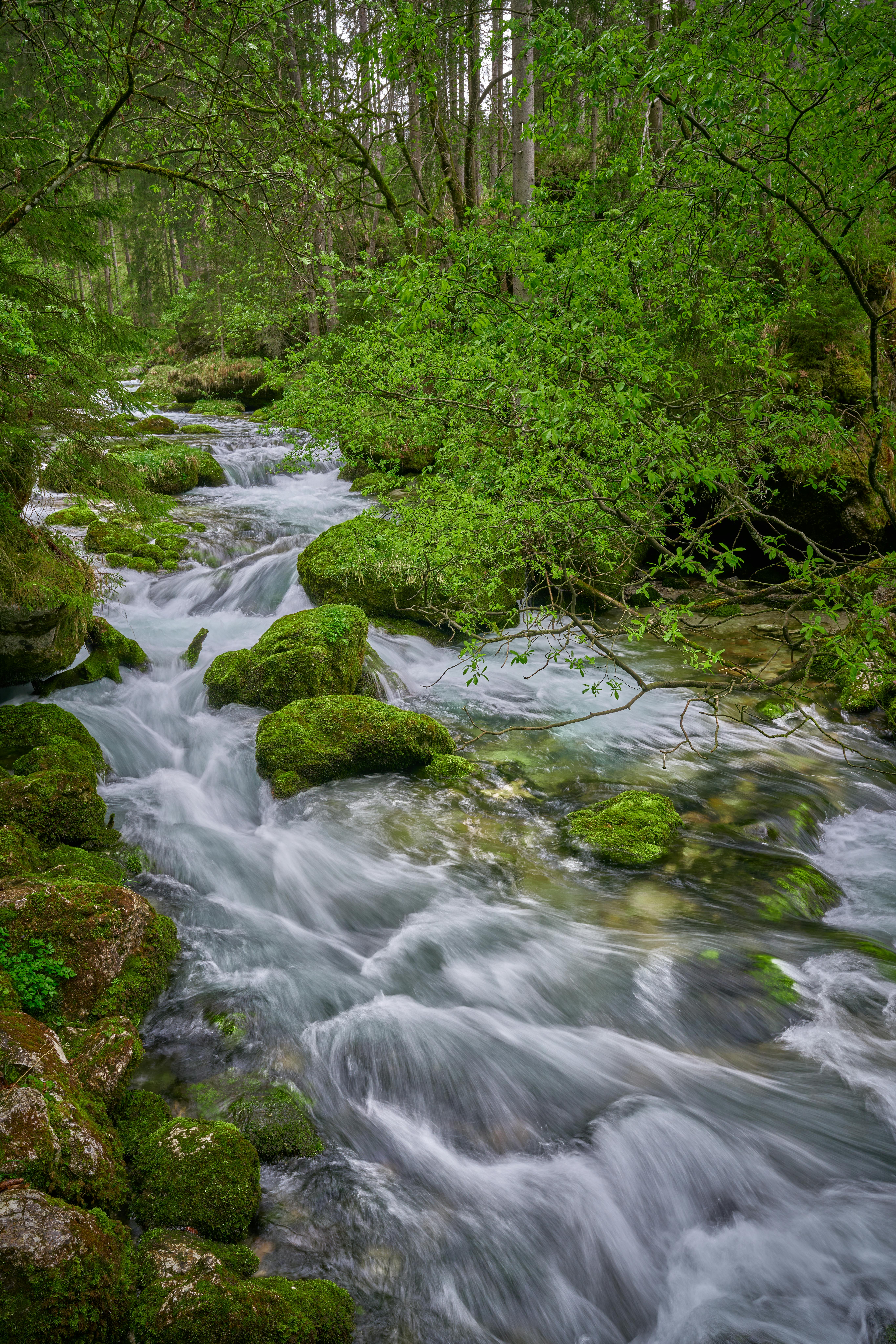 Rocks in Wild River · Free Stock Photo