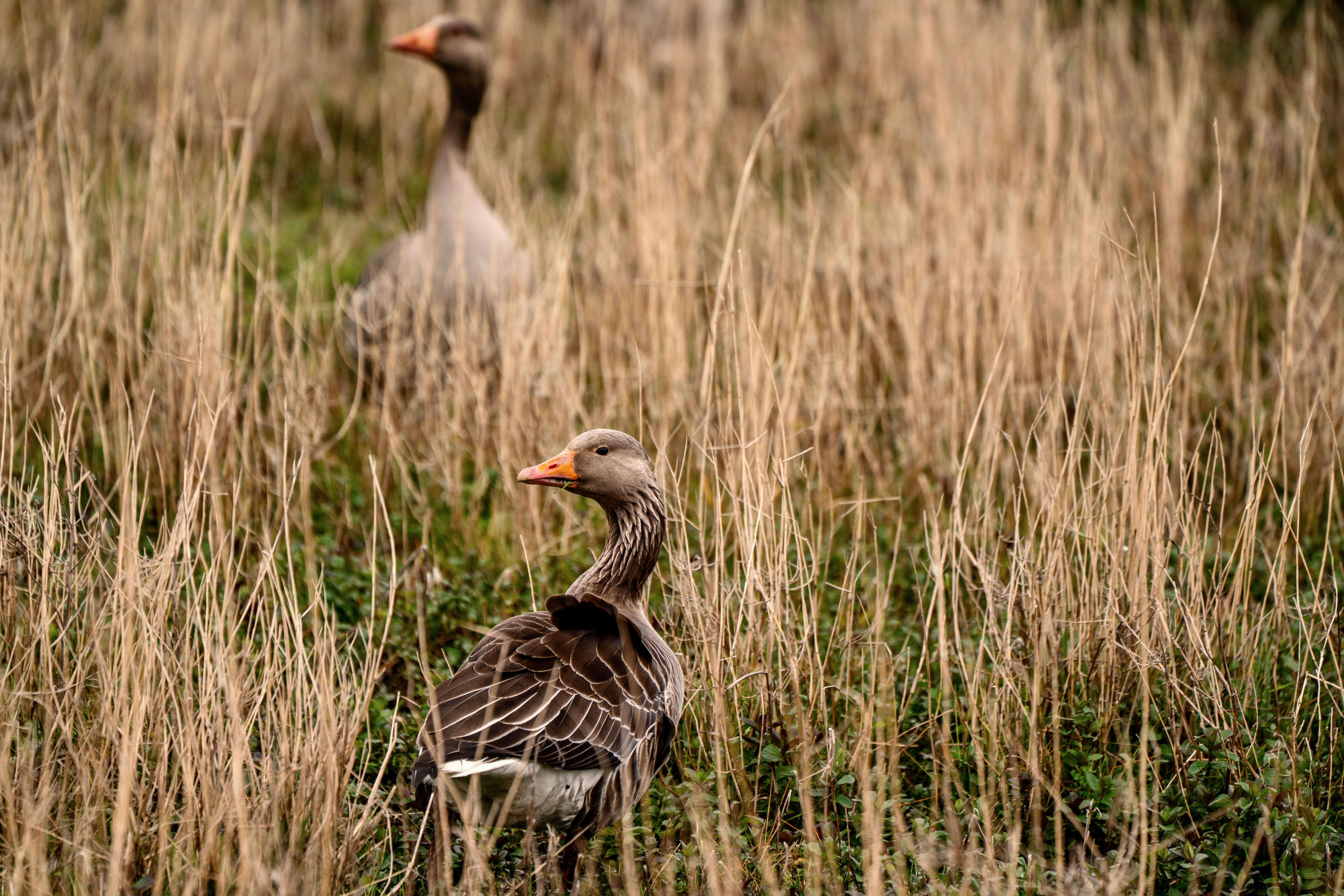 Nature Pfp Photos, Download The BEST Free Nature Pfp Stock Photos & HD ...