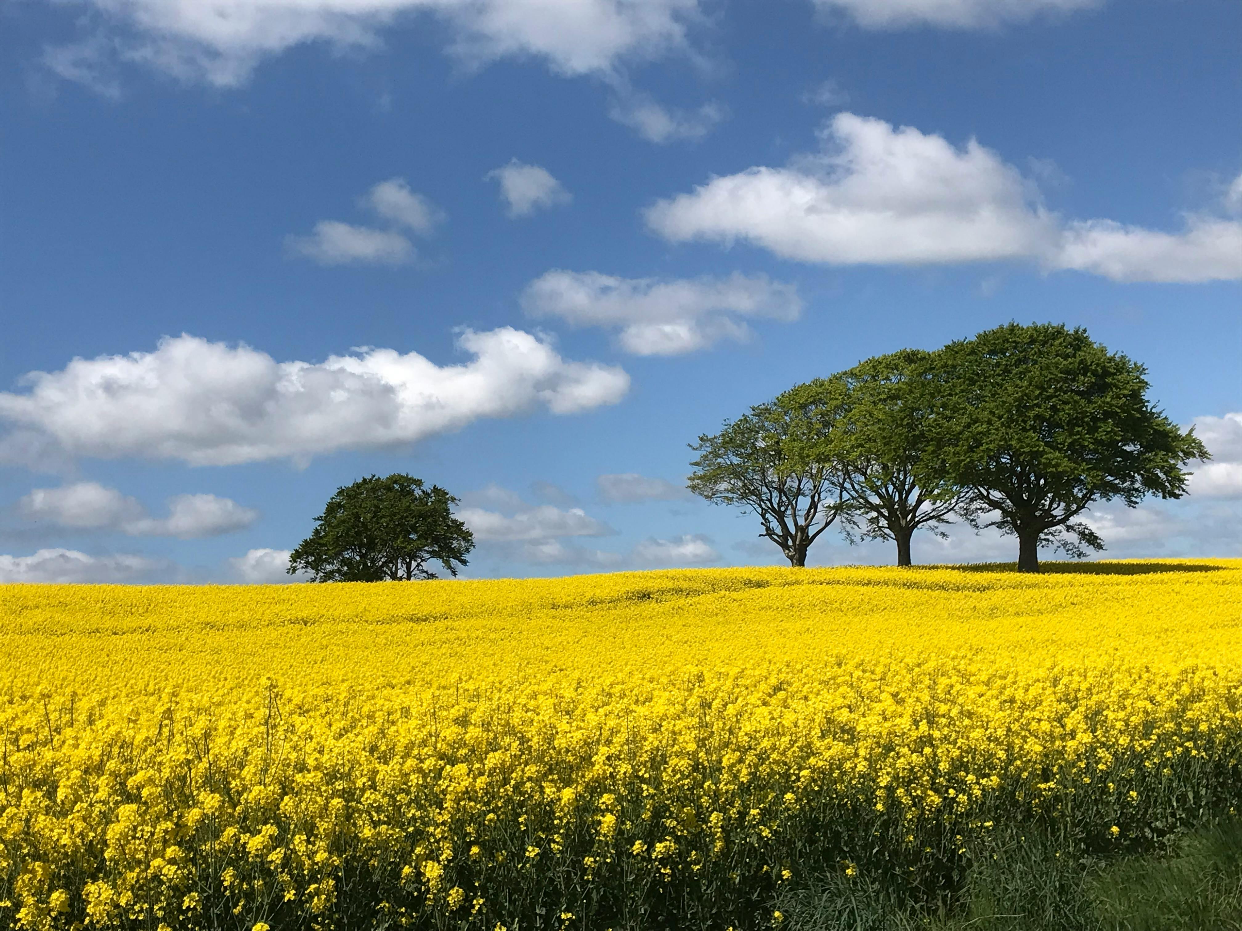 Rape+Gifs Photos, Download The BEST Free Rape+Gifs Stock Photos & HD Images