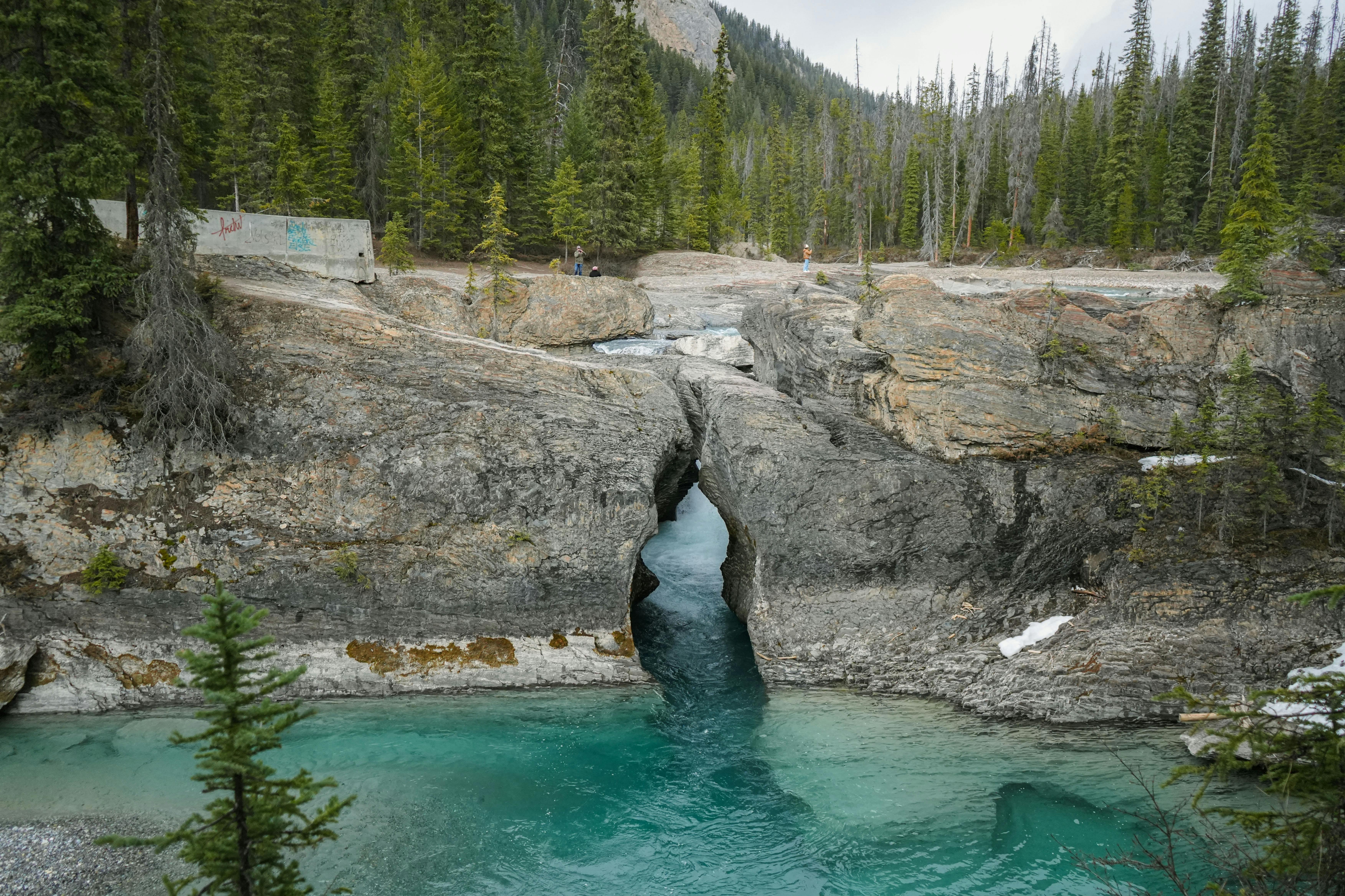 Ponte Natural Sobre O Rio Turquesa No Parque Nacional Yoho · Foto ...