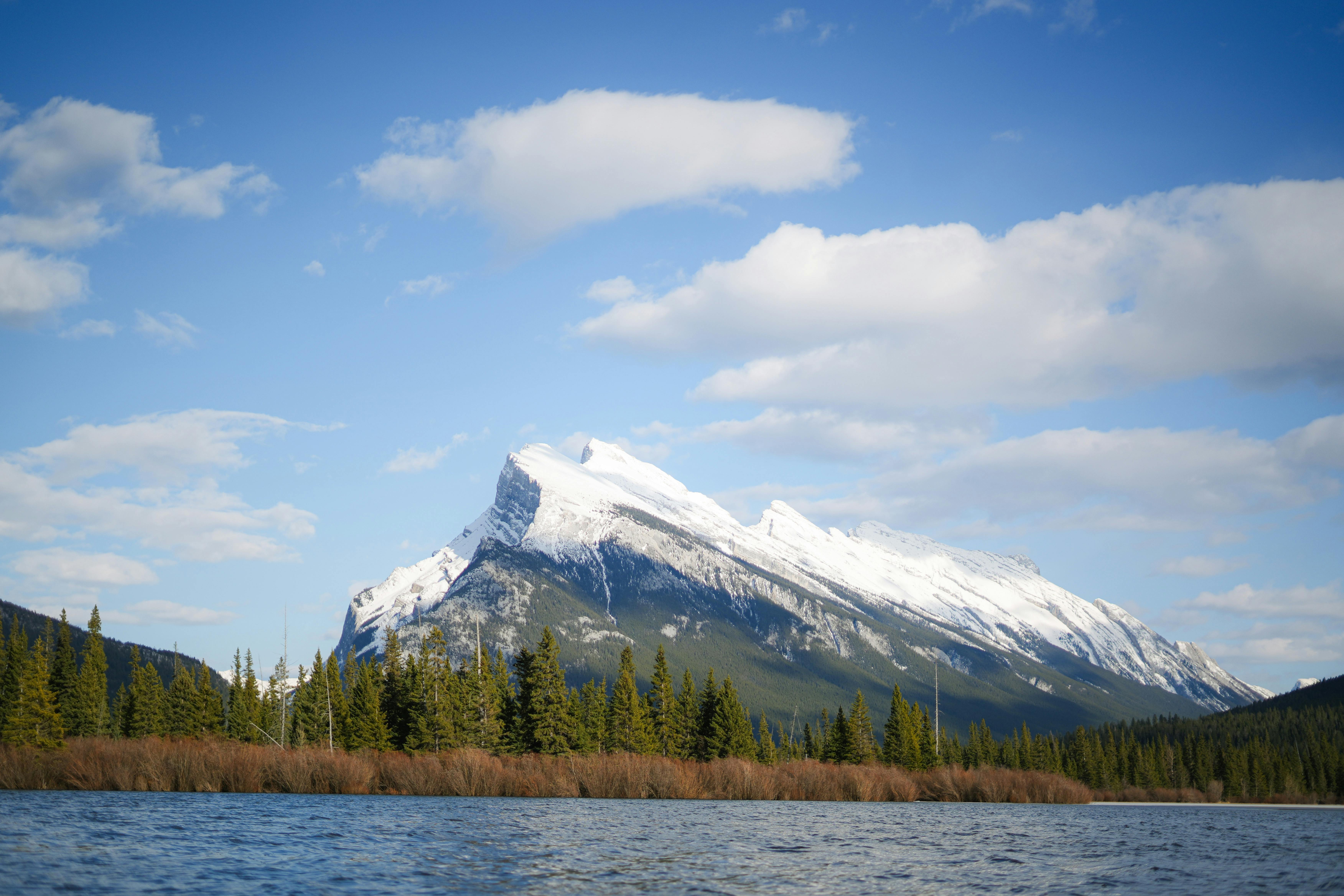 Natural Cold Spring Photos, Download The BEST Free Natural Cold Spring ...