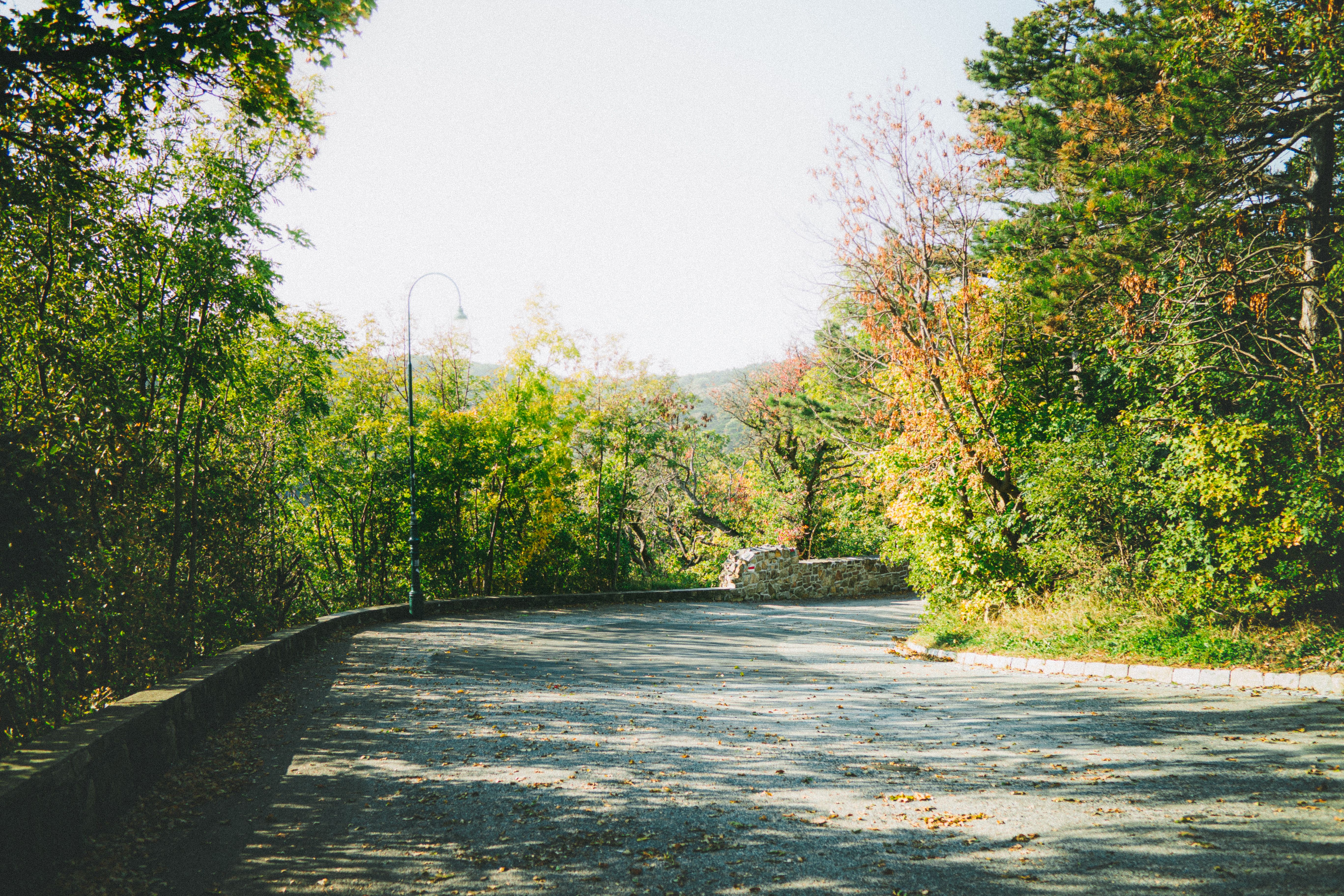 Scenic Autumn Drive Through Mountain Road · Free Stock Photo