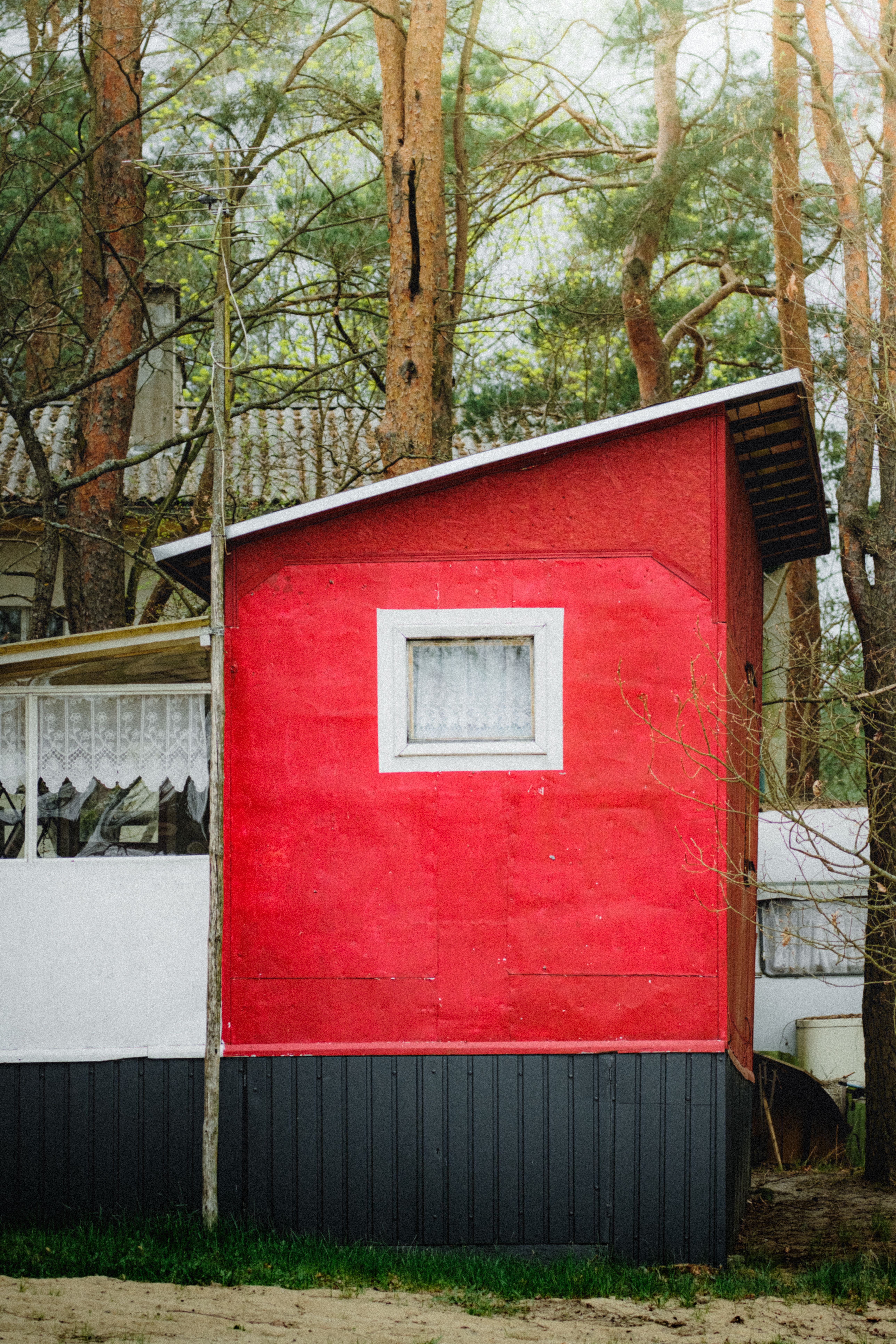 Rustic Red Cabin in Polish Forest Setting · Free Stock Photo