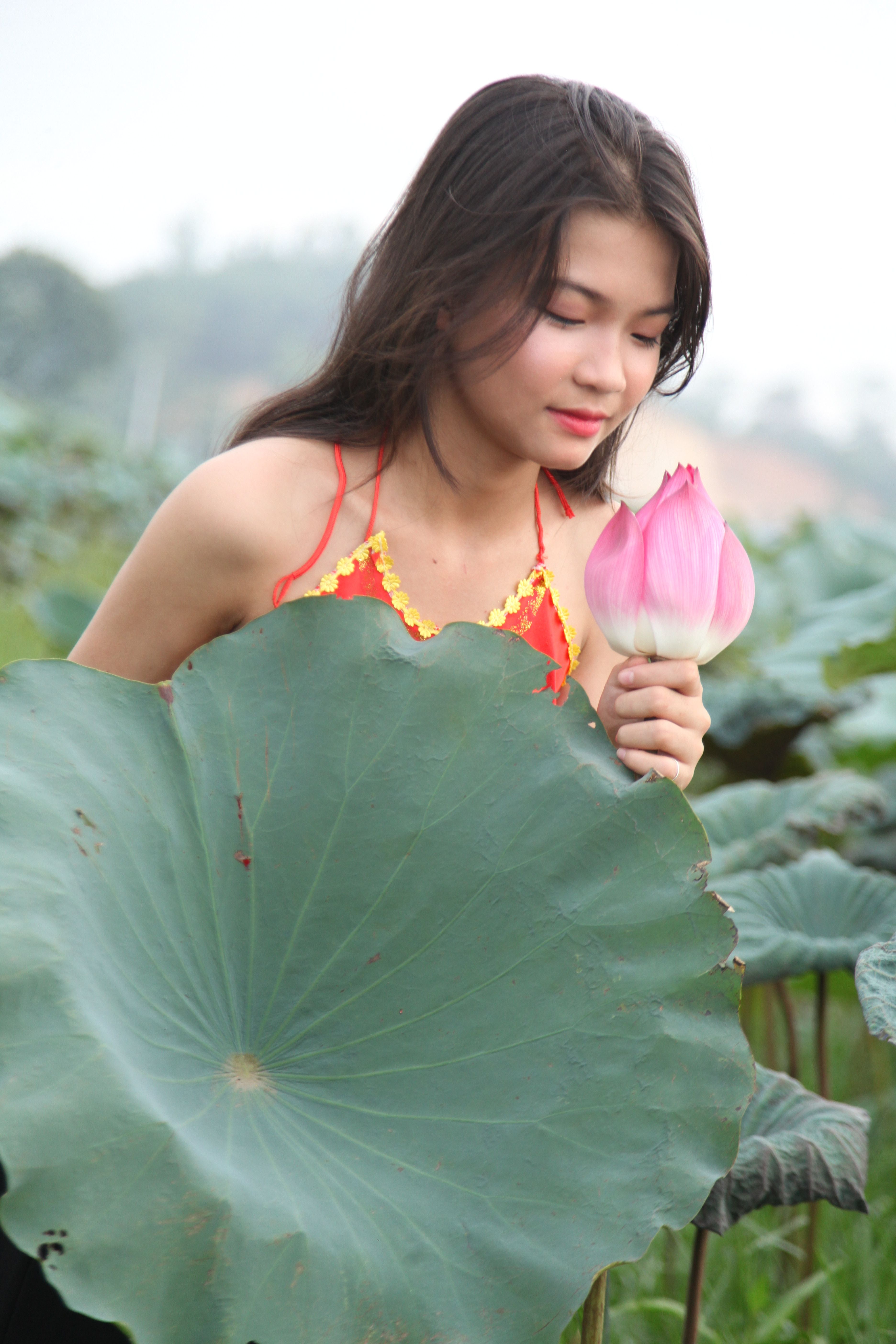 Woman Holding Lotus Flower in Nature · Free Stock Photo