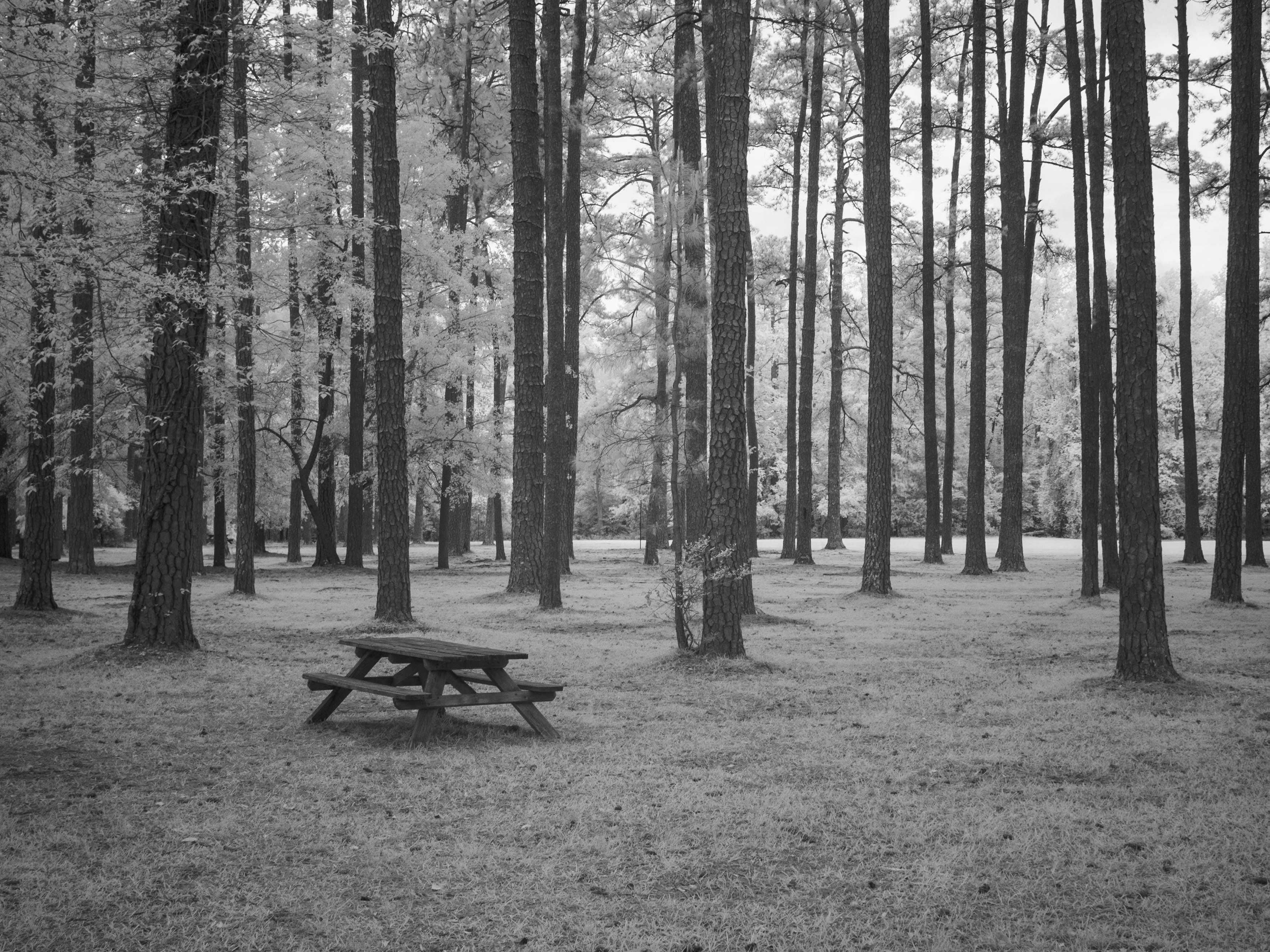 Bokep+Jepang+Beautiful+Breast Photos, Download The BEST Free Bokep+Jepang+Beautiful+Breast Stock ...