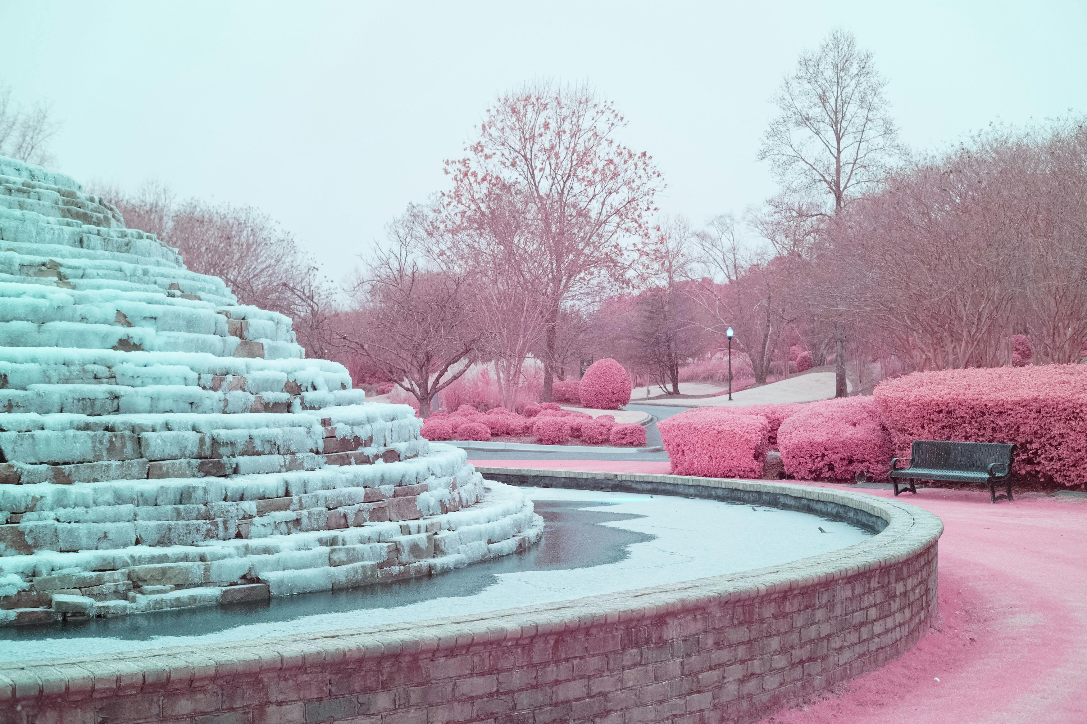 Infrared Photos, Download The BEST Free Infrared Stock Photos & HD Images