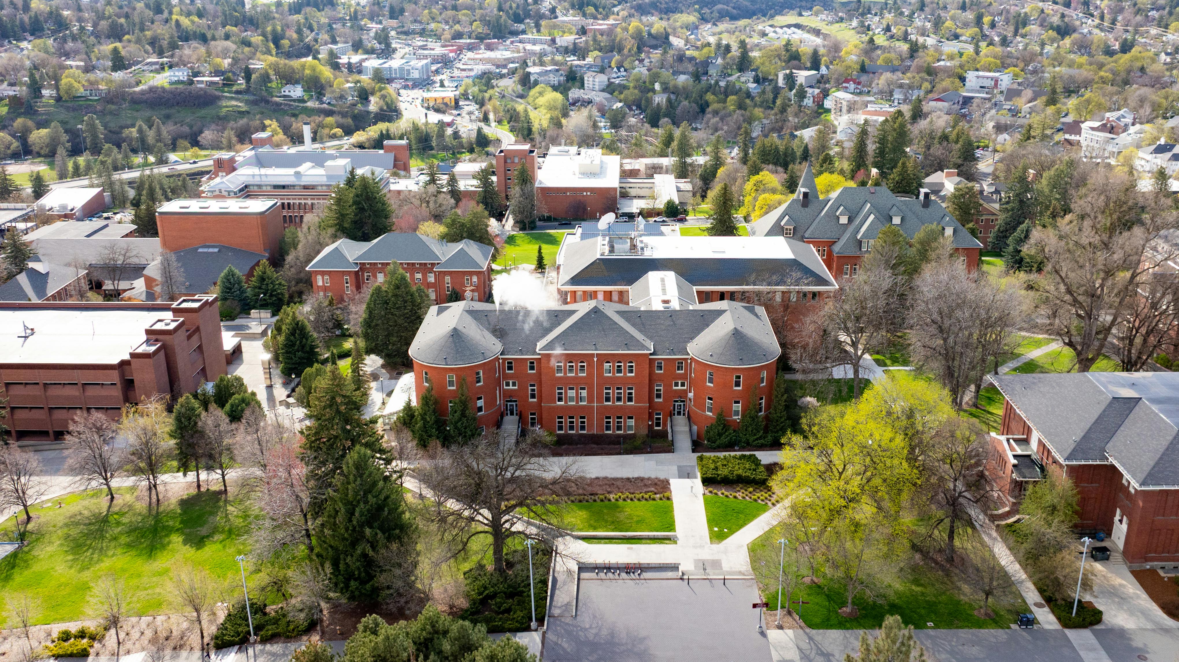 Quad Oc Chi Tong Vuon Photos, Download The BEST Free Quad Oc Chi Tong ...