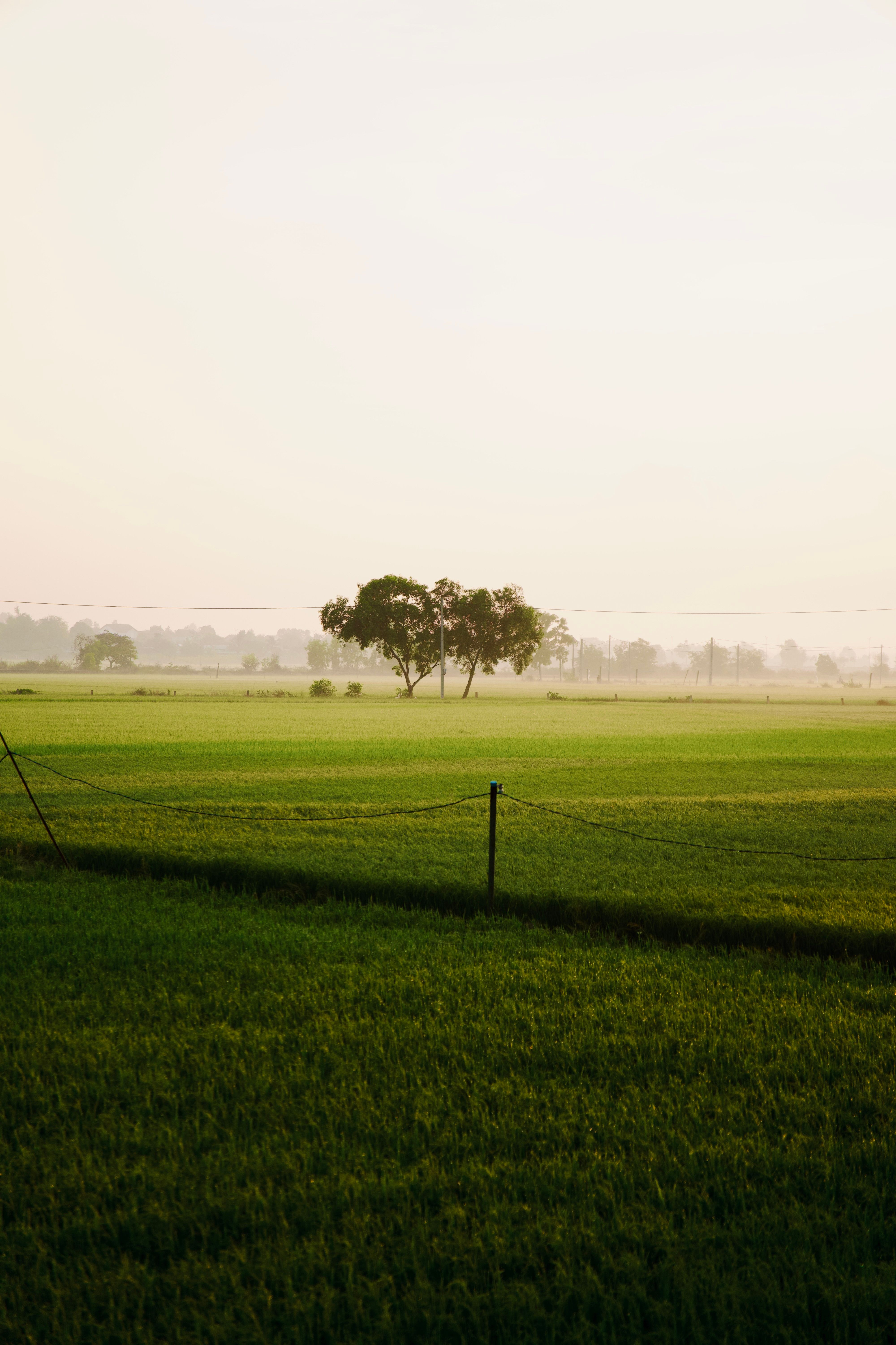 Punjab Khet Photos, Download The BEST Free Punjab Khet Stock Photos ...