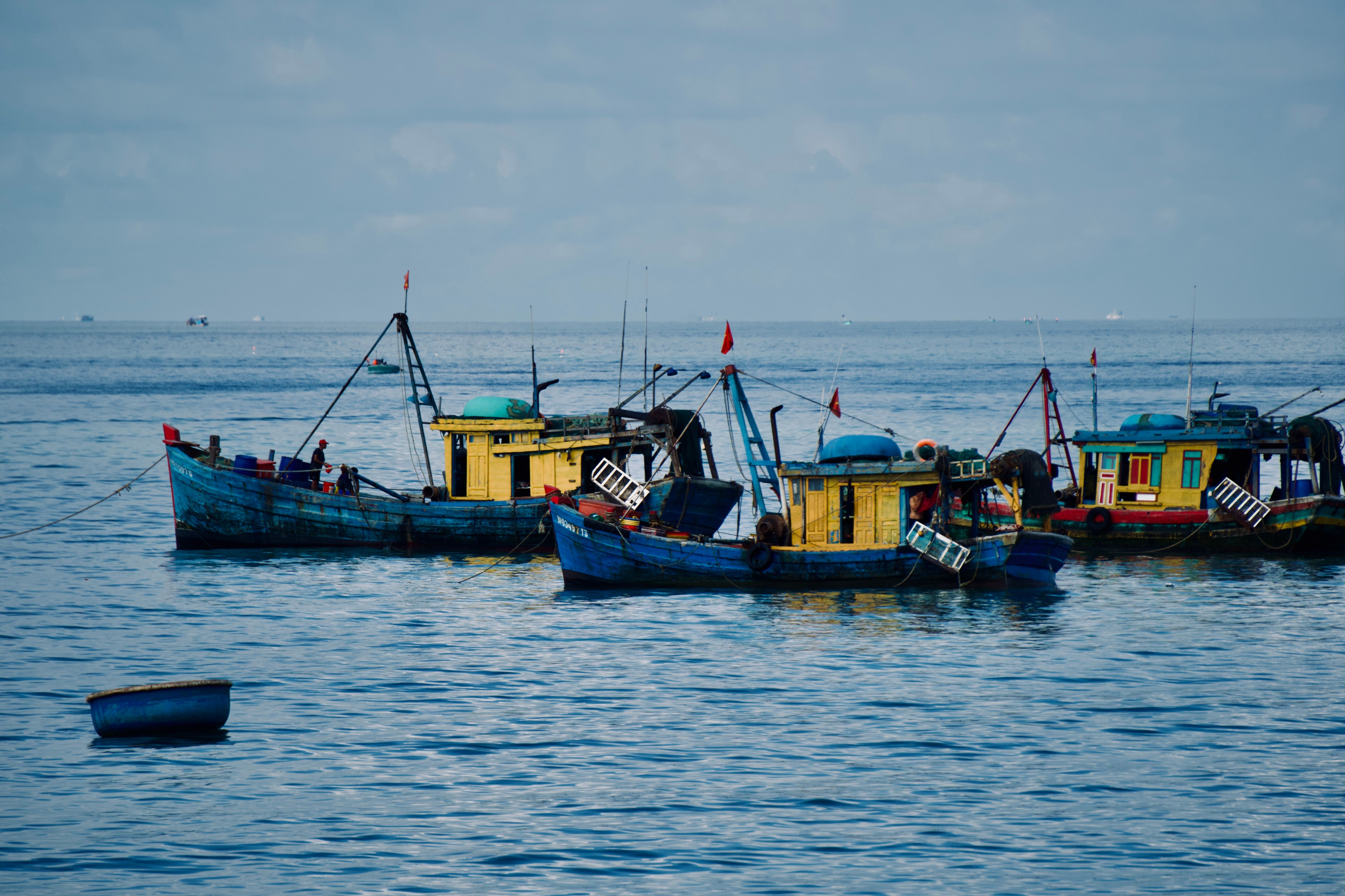 Colorful Fishing Boats on a Calm Sea · Free Stock Photo