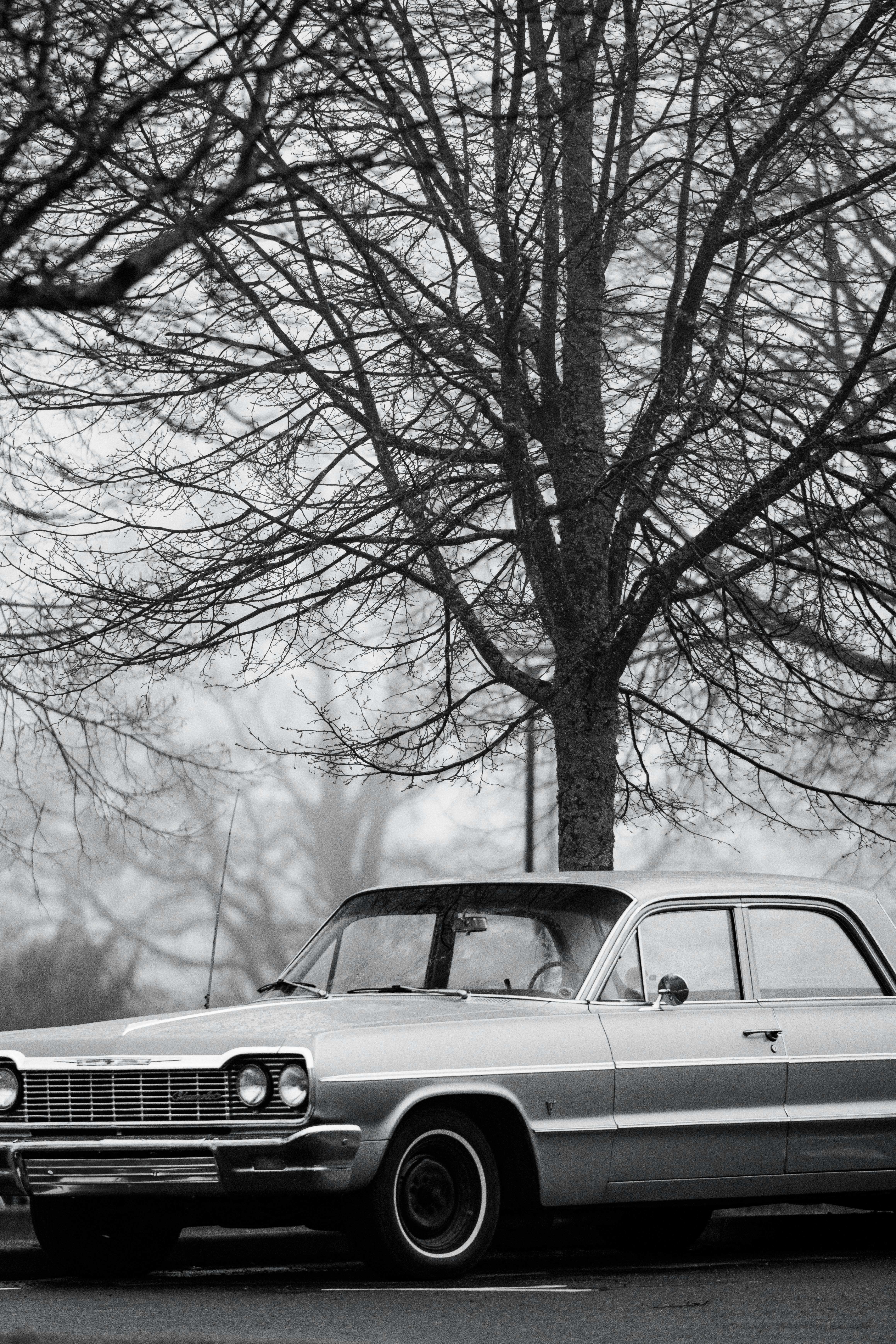 Vintage Car in Monochrome by Trees in Jönköping · Free Stock Photo