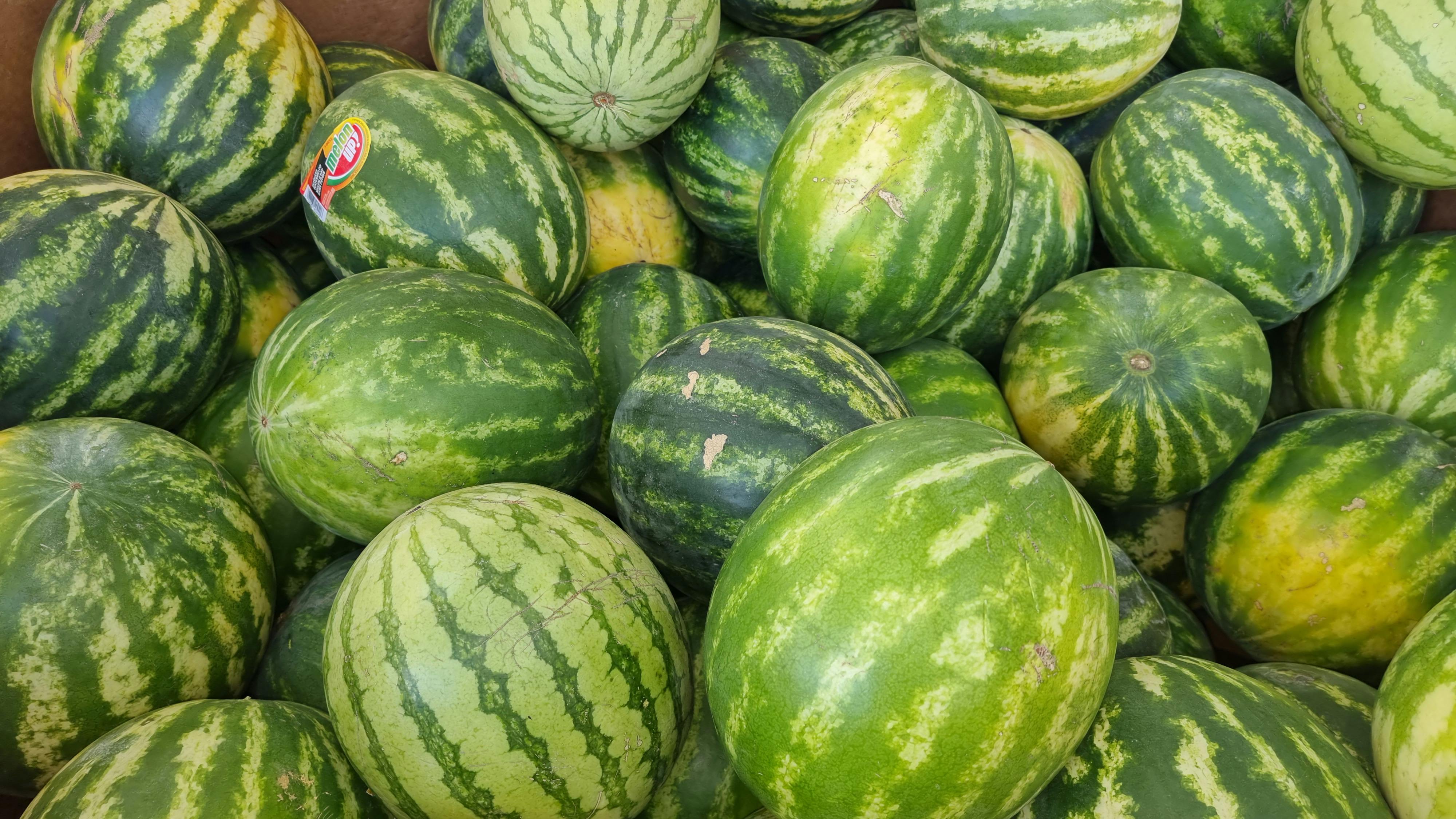 Watermelon Grandma Photos, Download The BEST Free Watermelon Grandma Stock Photos & HD Images