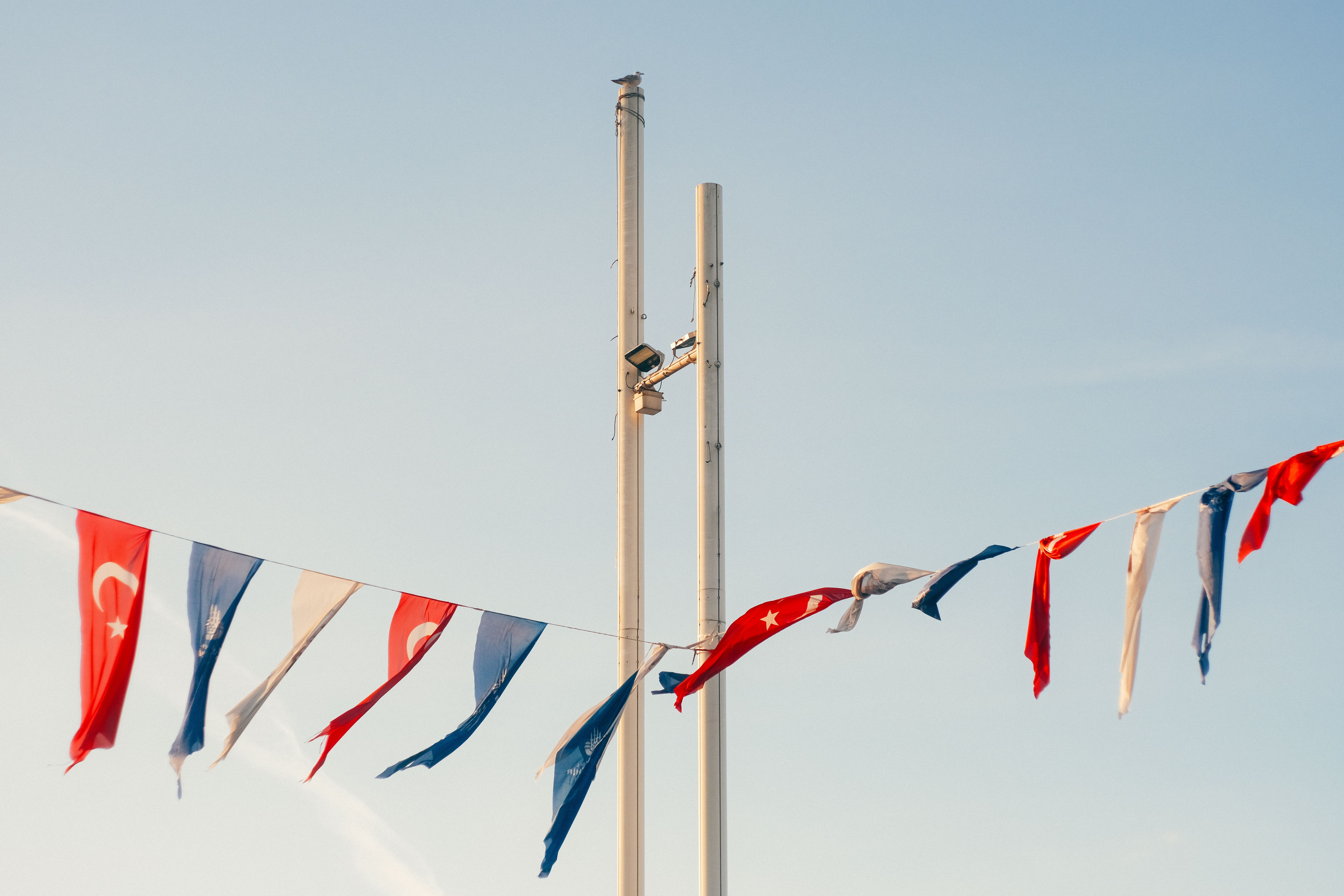 Pole Photos, Download The BEST Free Pole Stock Photos & HD Images