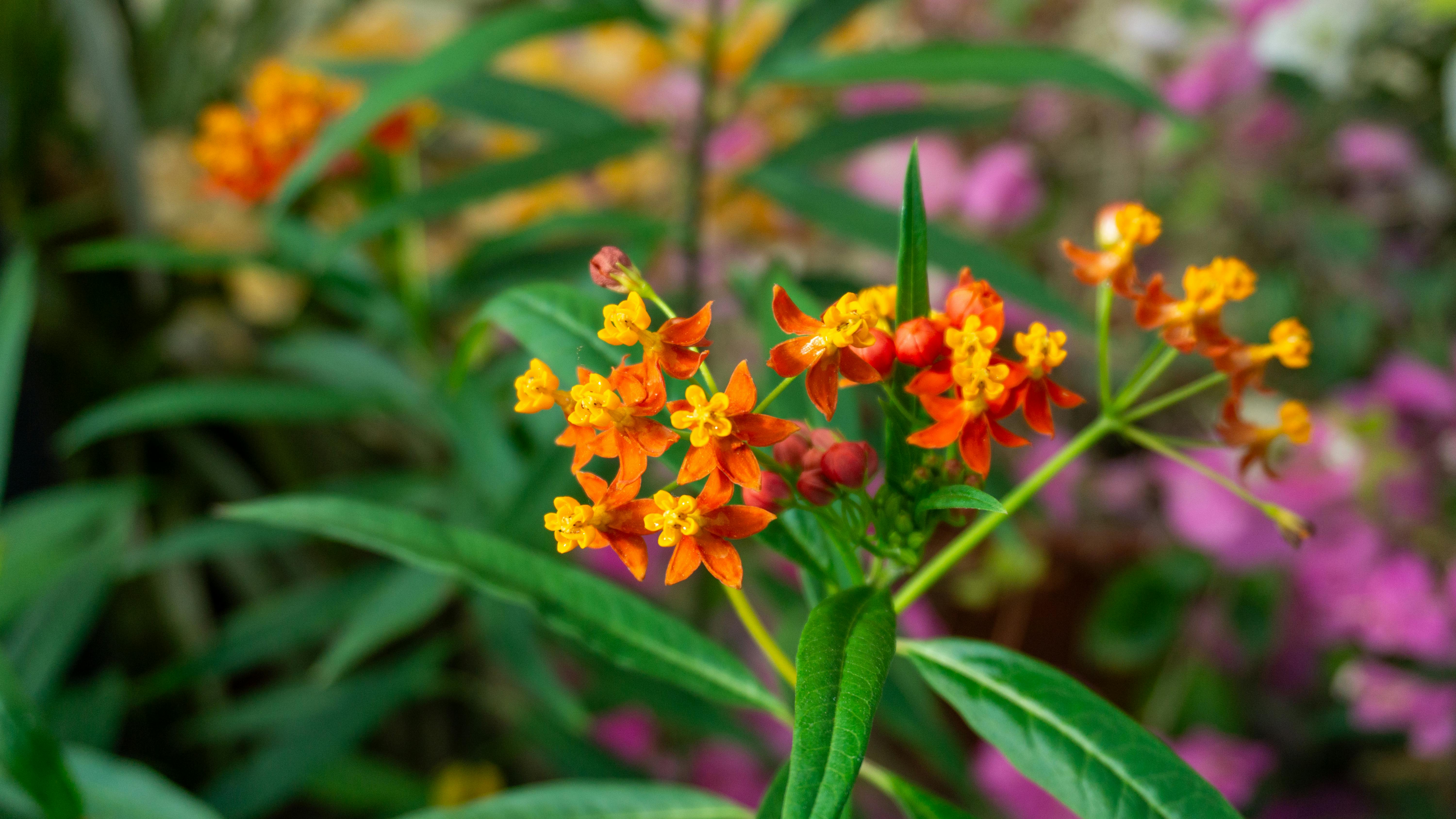 Radical Enhanced Photos, Download The BEST Free Radical Enhanced Stock ...