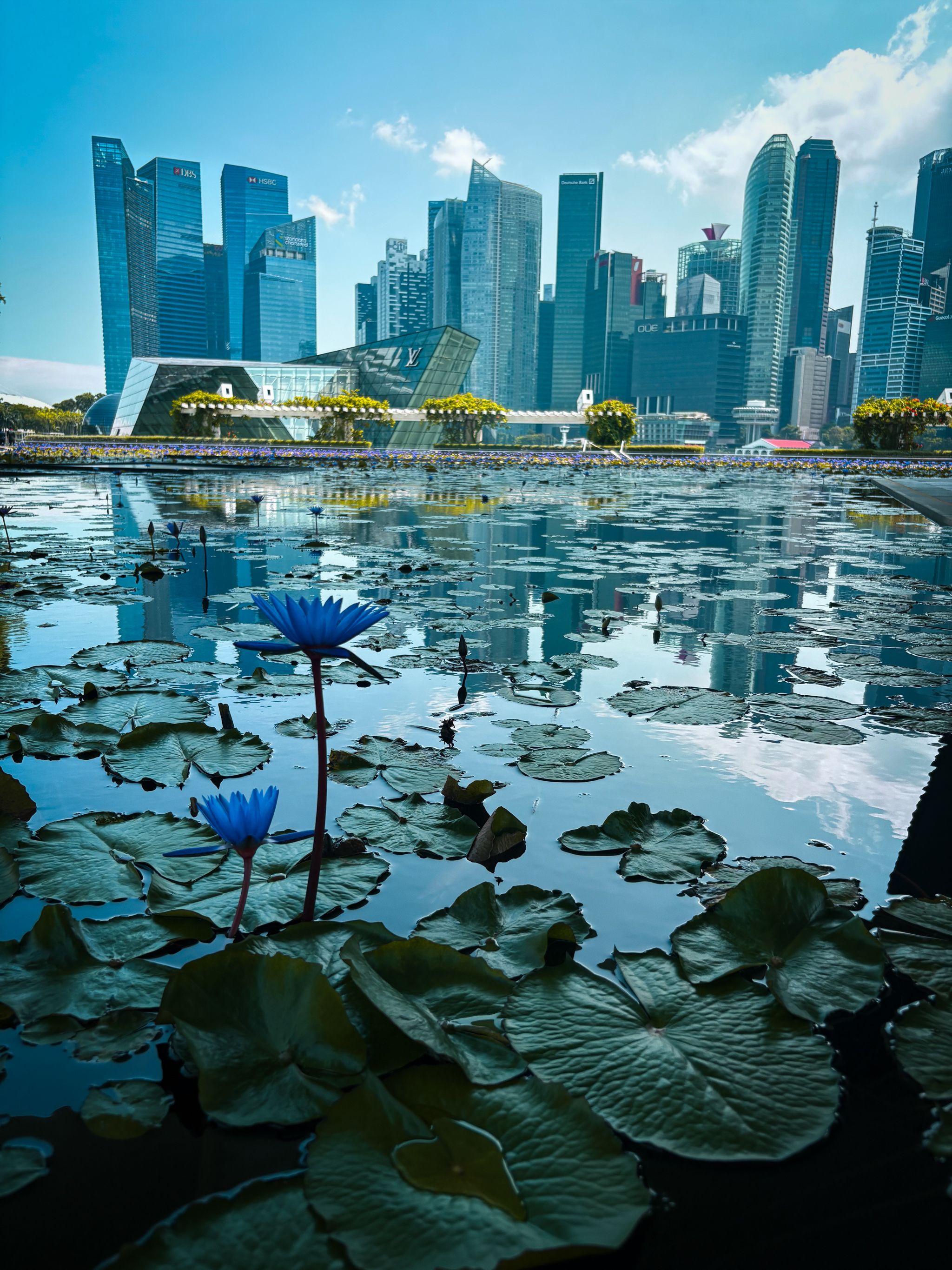 Pond Hub Photos, Download The BEST Free Pond Hub Stock Photos & HD Images