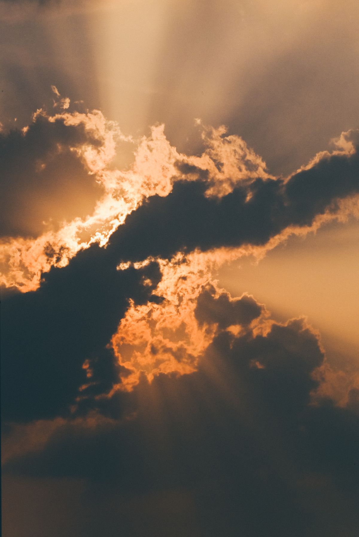 Sun Rays Photos, Download The BEST Free Sun Rays Stock Photos & HD Images