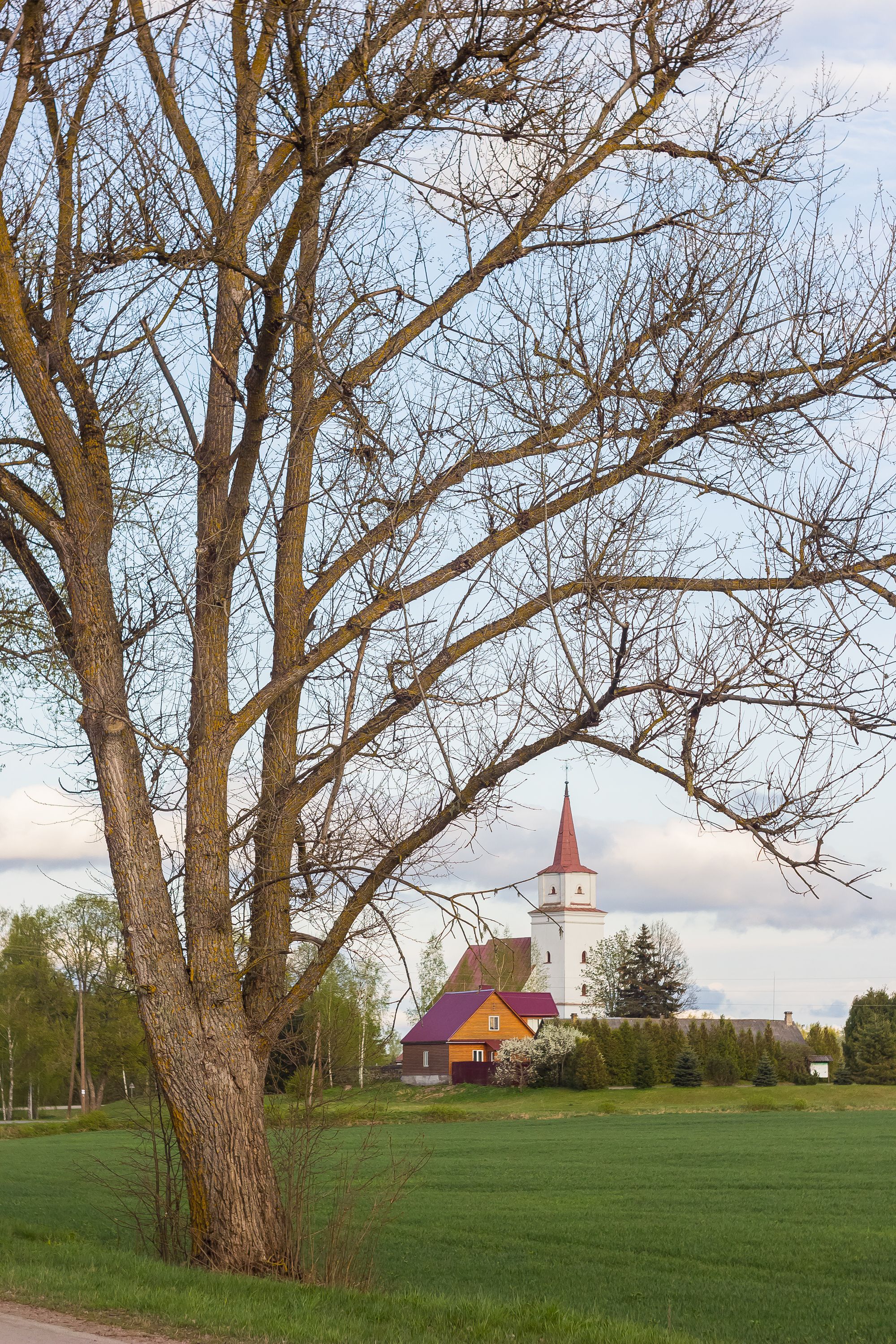 Rural Church and Tree in Serene Countryside · Free Stock Photo