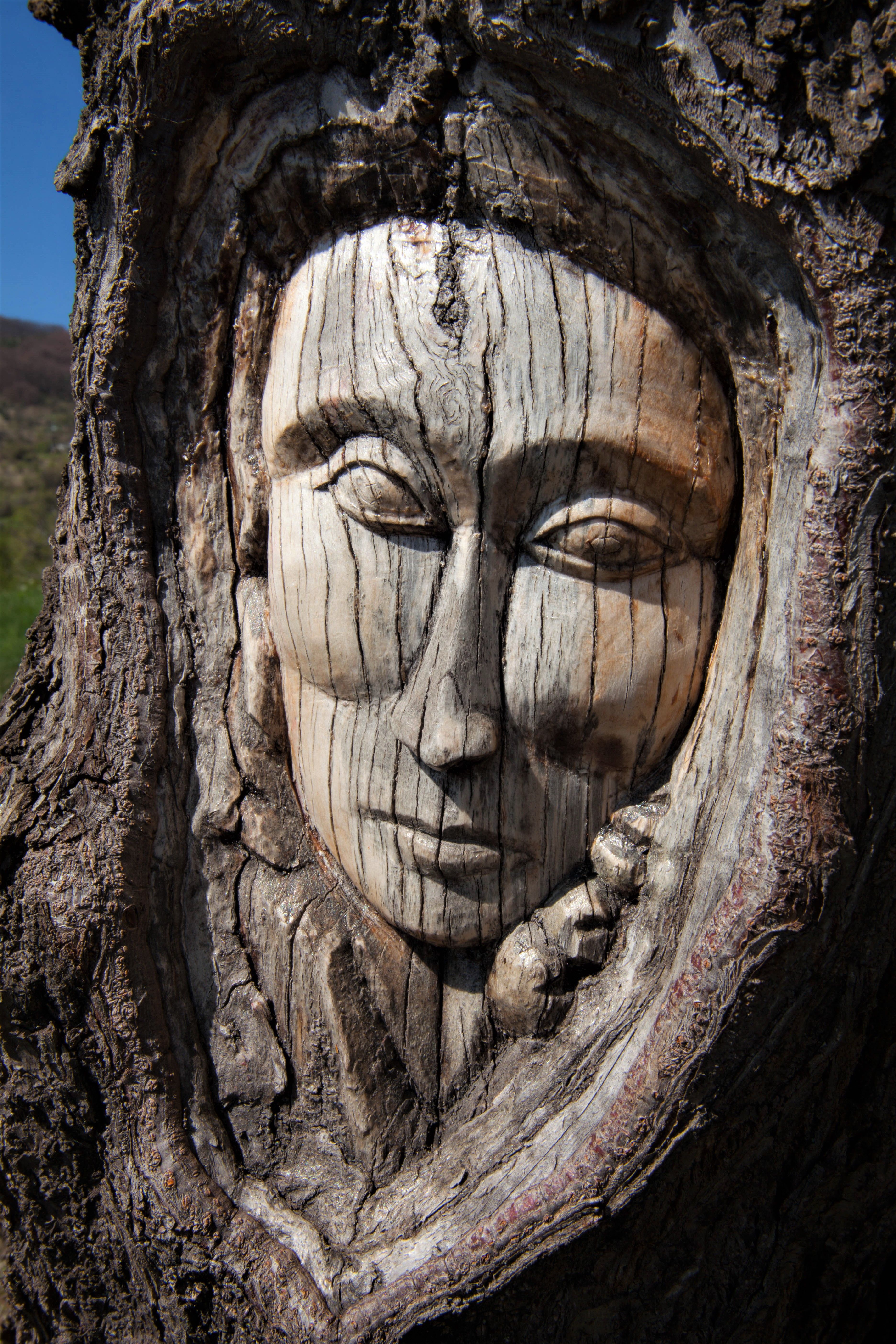 Outdoor Creativity Photos, Download The BEST Free Outdoor Creativity ...