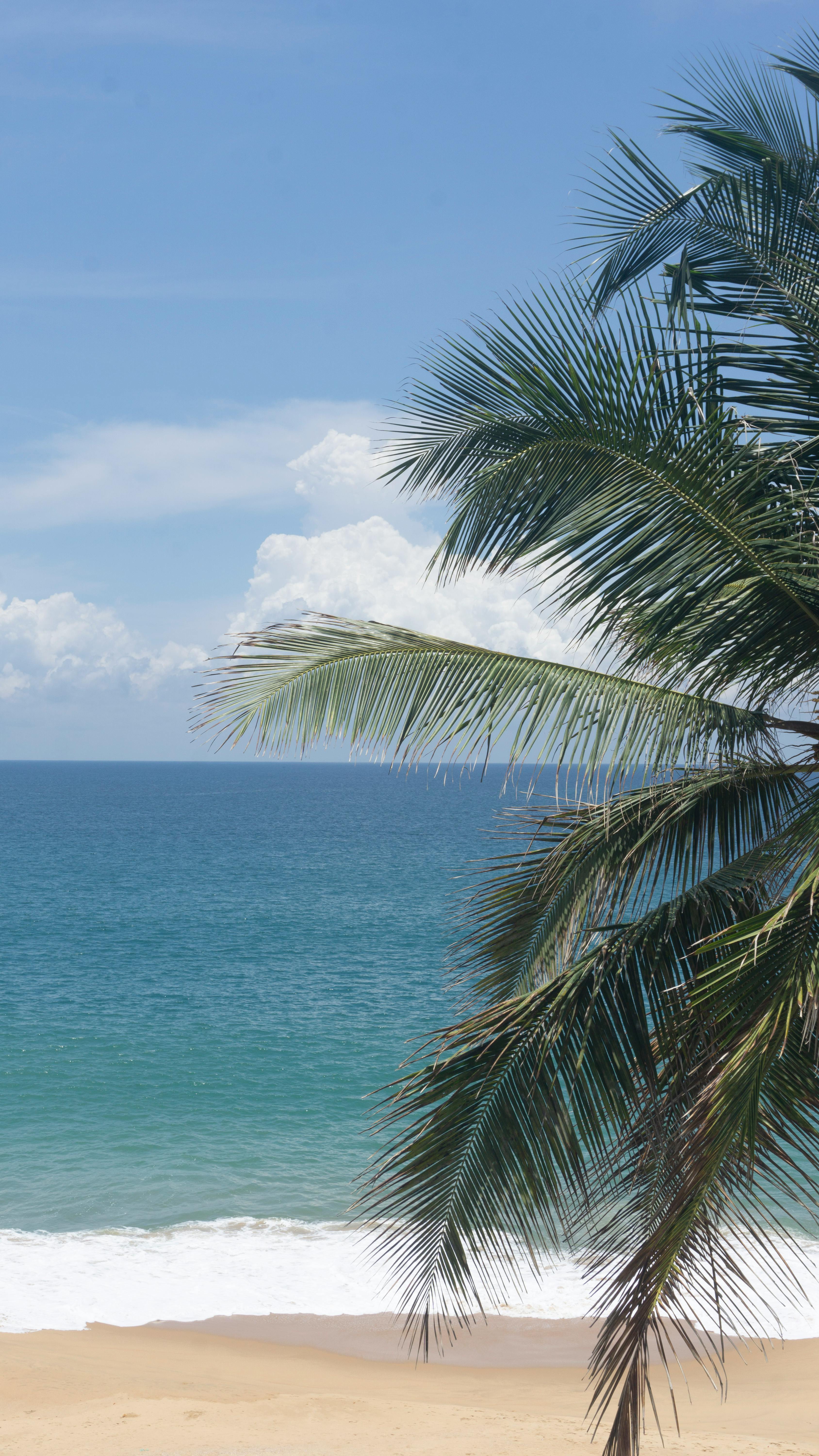 Beachfront Photos, Download The BEST Free Beachfront Stock Photos & HD ...