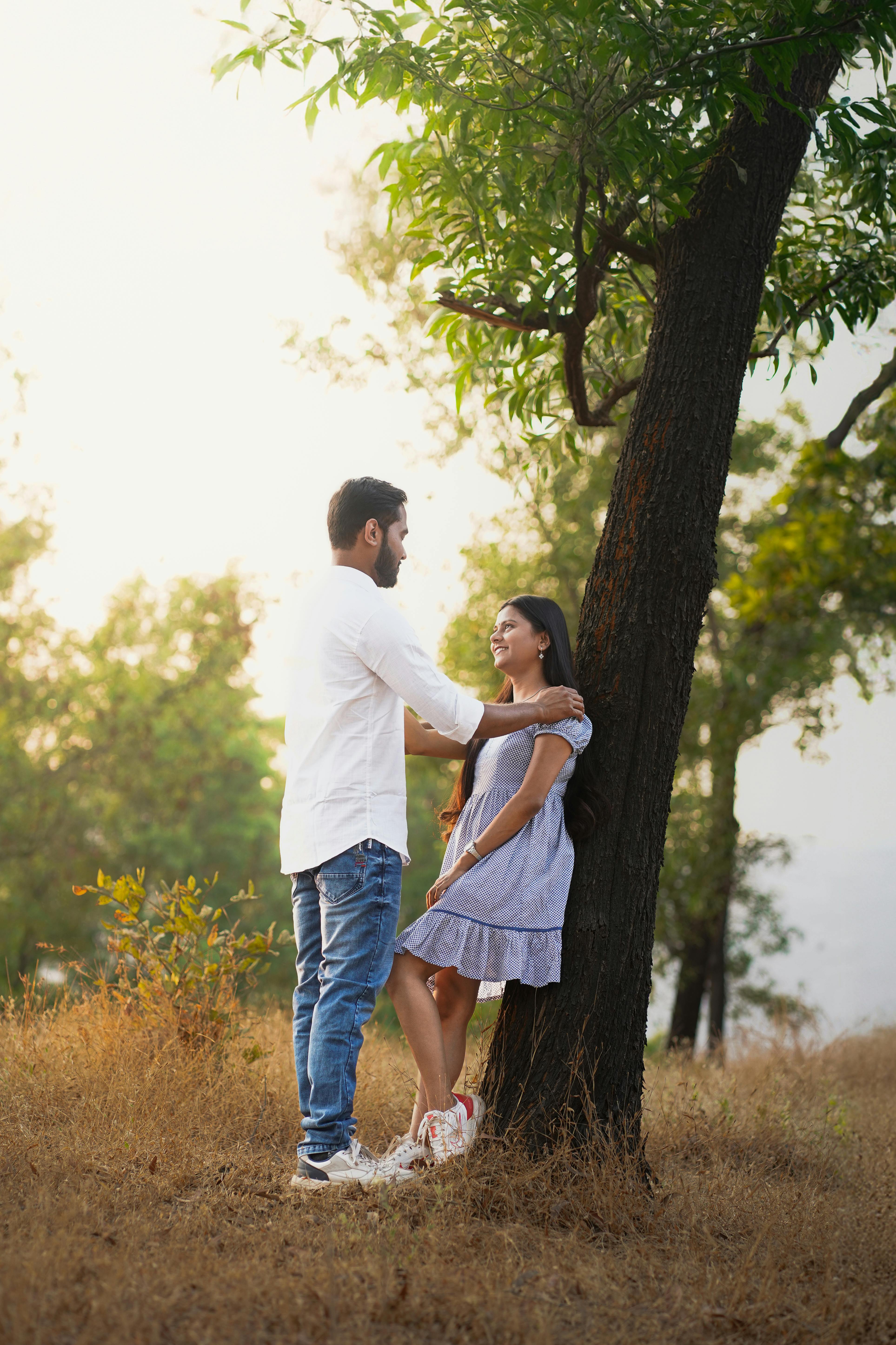 Emotion Tree Photos, Download The BEST Free Emotion Tree Stock Photos ...