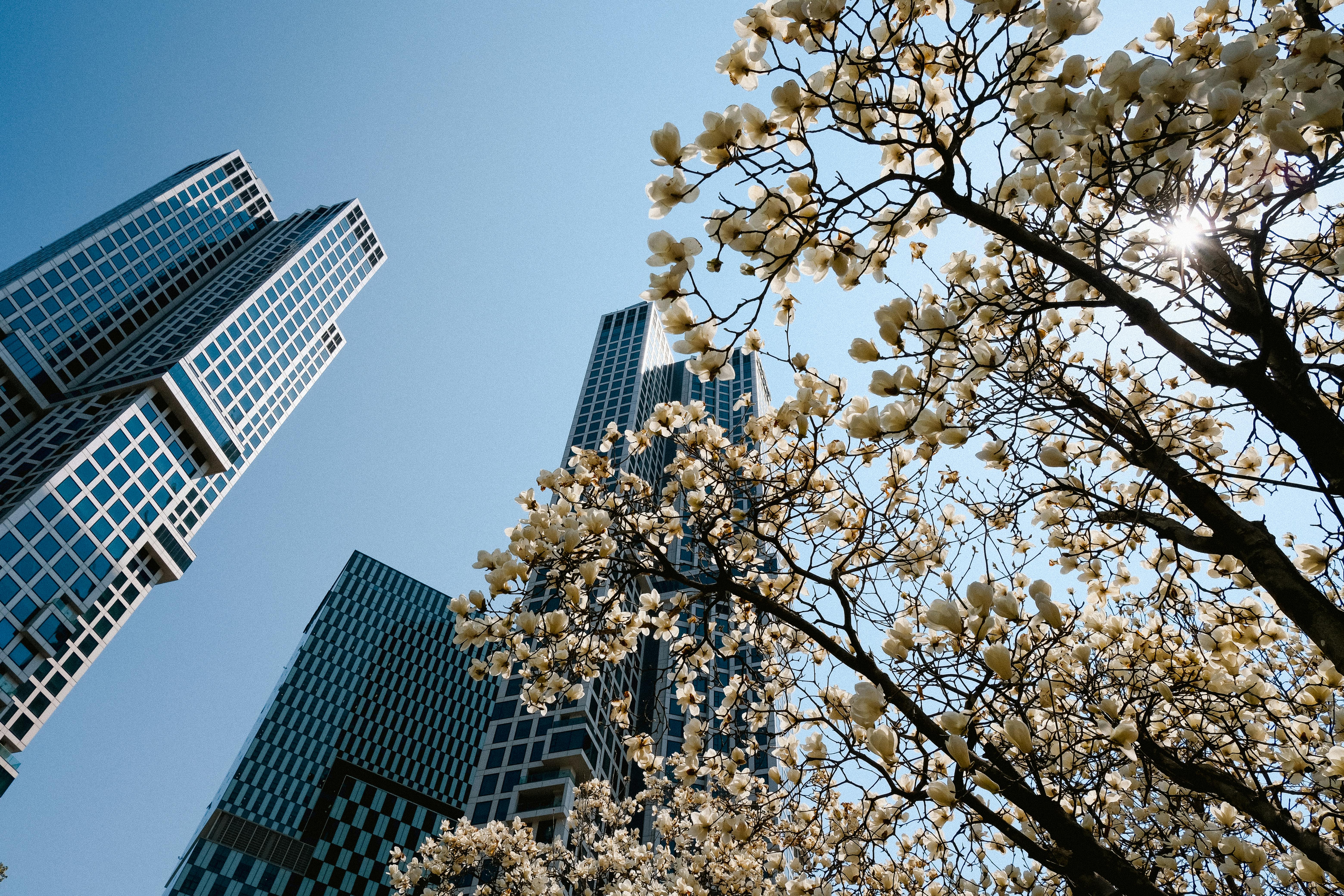 Ayyeee Ayyeee - 사진