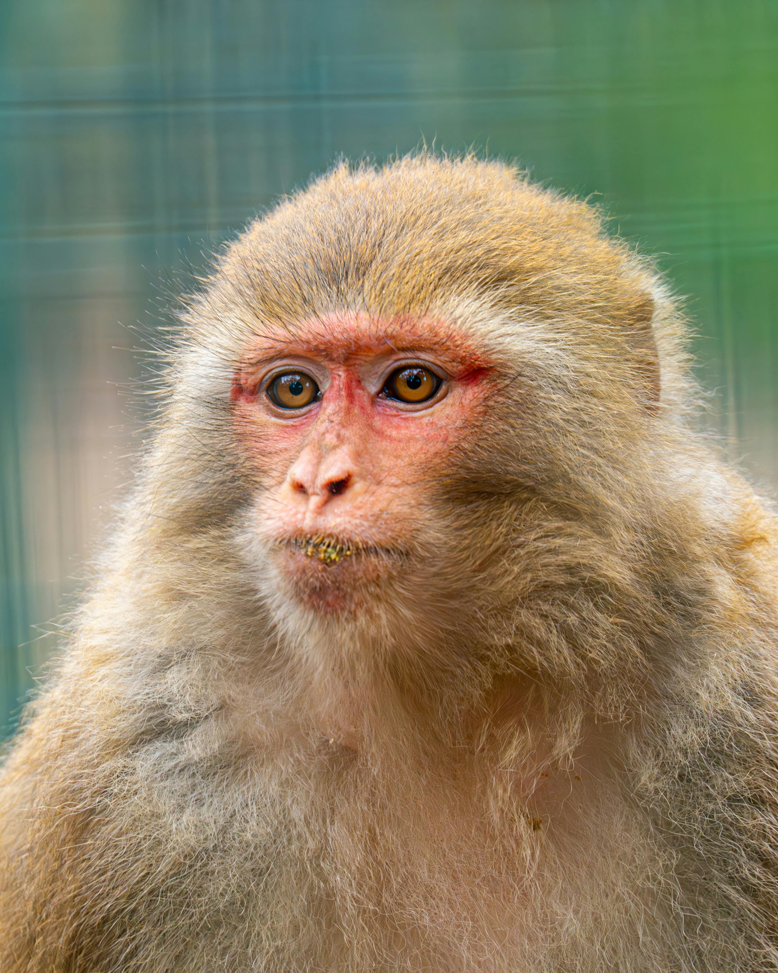 Rolling Eyes Photos, Download The BEST Free Rolling Eyes Stock Photos ...