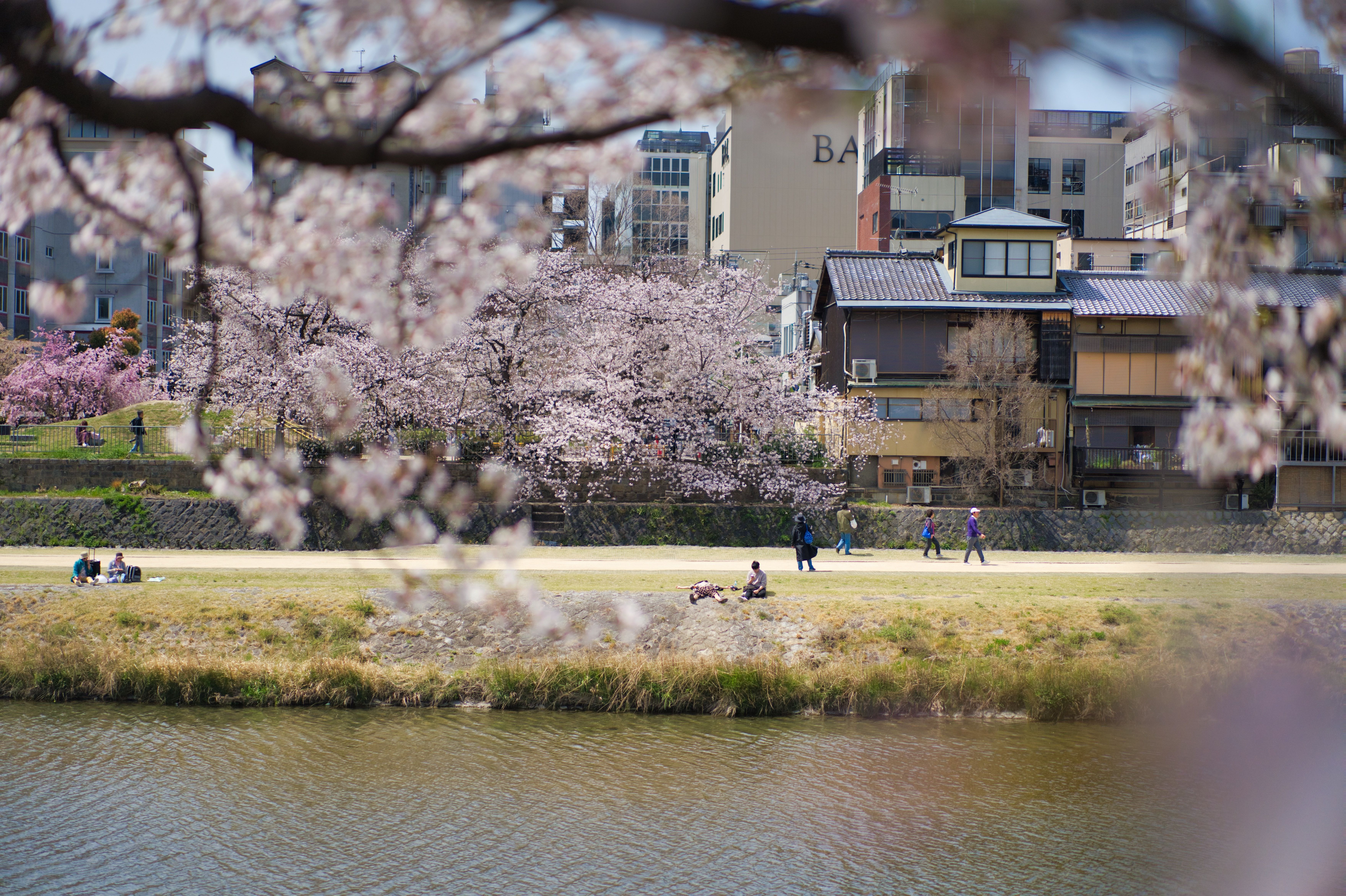 Japanese Overlays Photos, Download The BEST Free Japanese Overlays ...