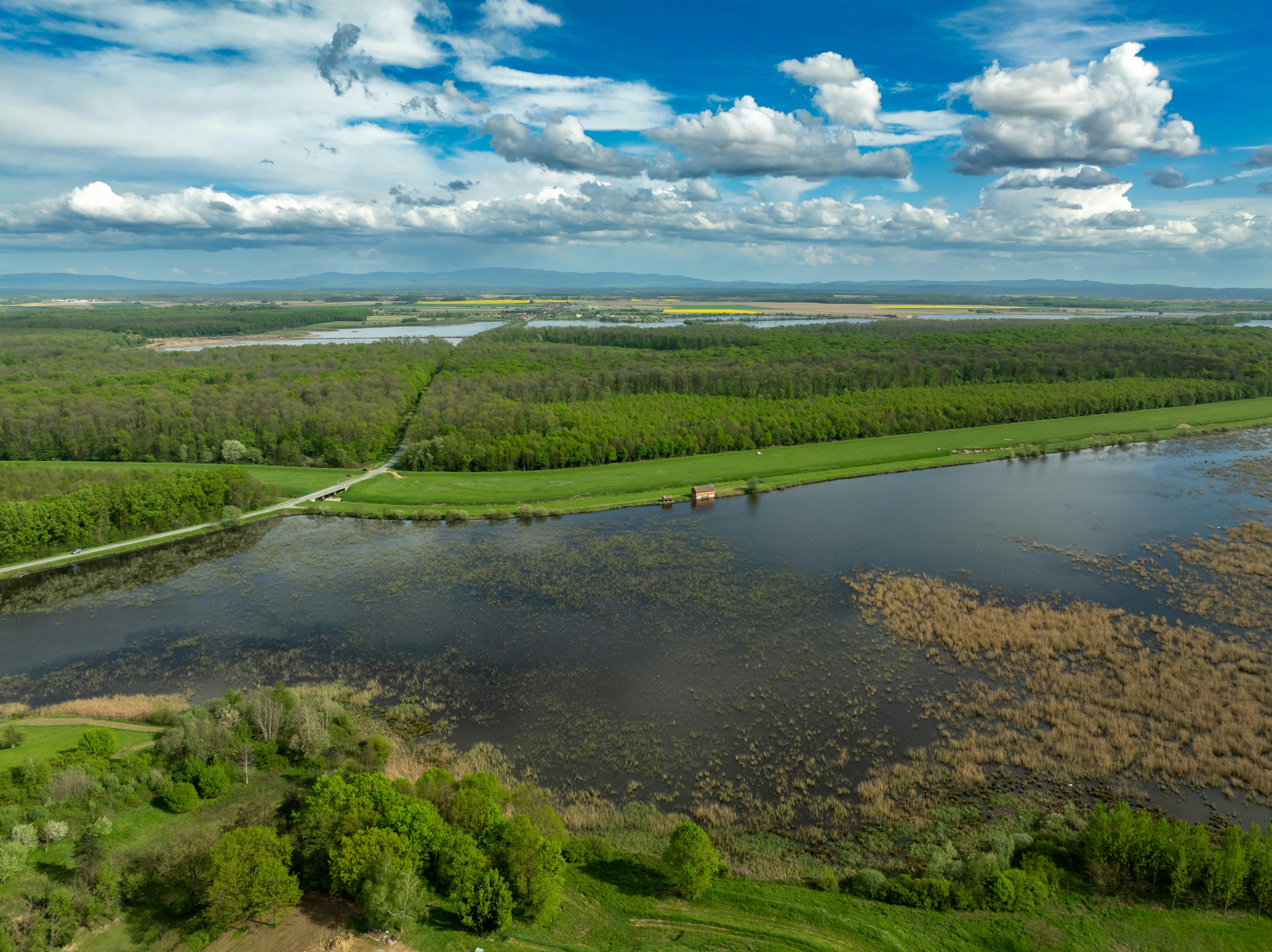 Environmental Conservation Photos, Download The BEST Free Environmental ...