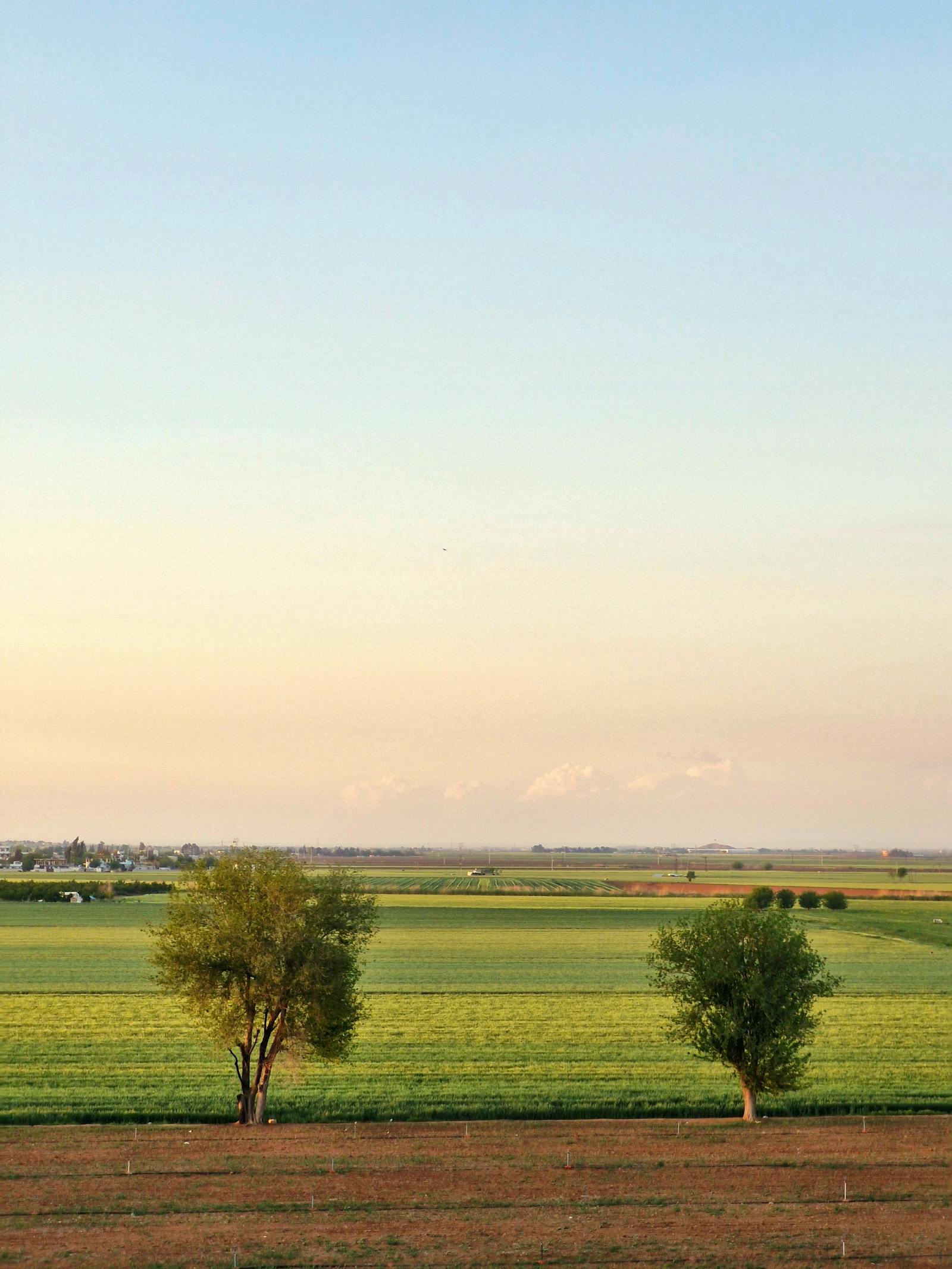 Rural Area Photos, Download The BEST Free Rural Area Stock Photos & HD ...