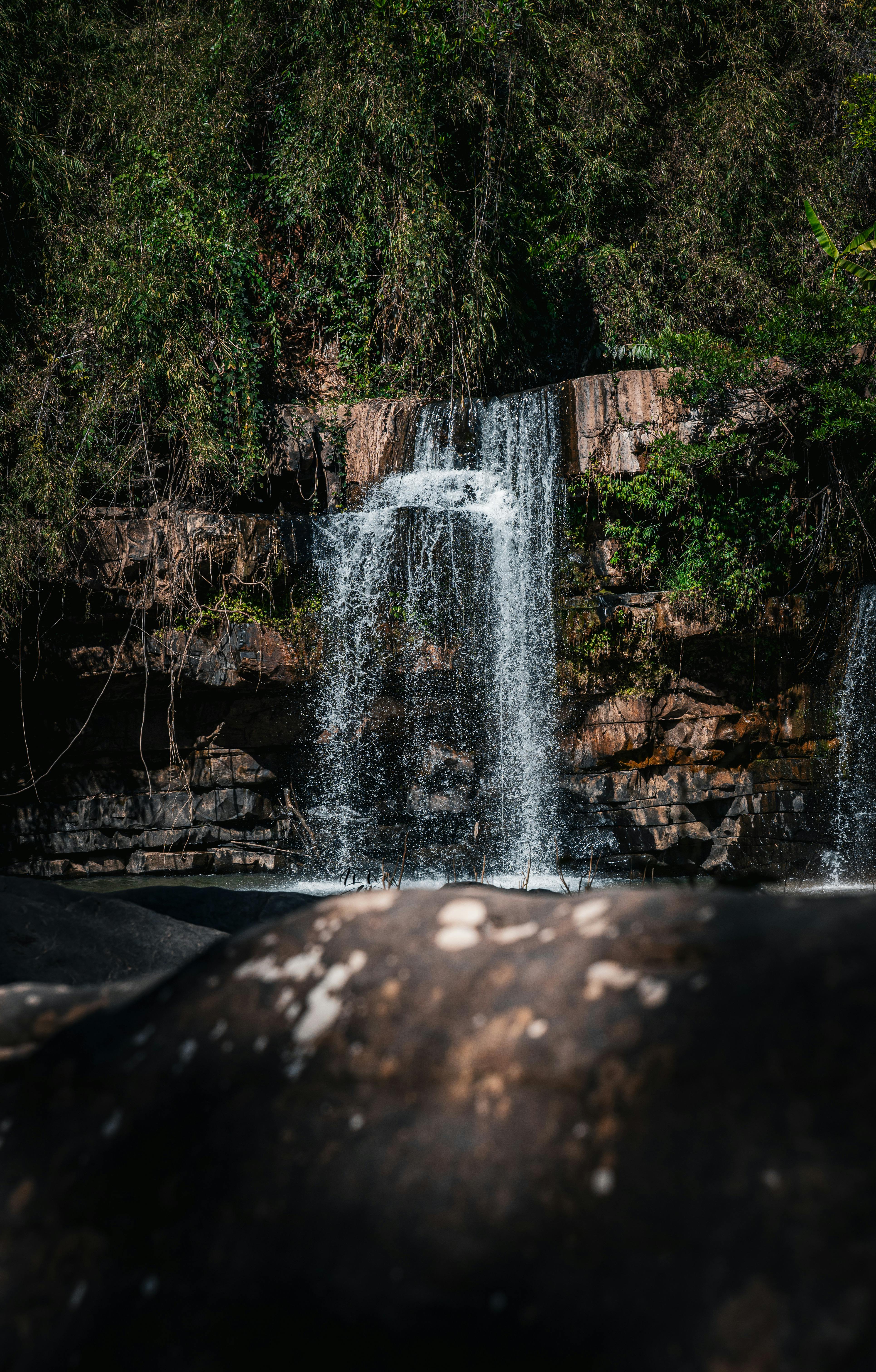 Shooting Photos Download Photos, Download The BEST Free Shooting Photos ...