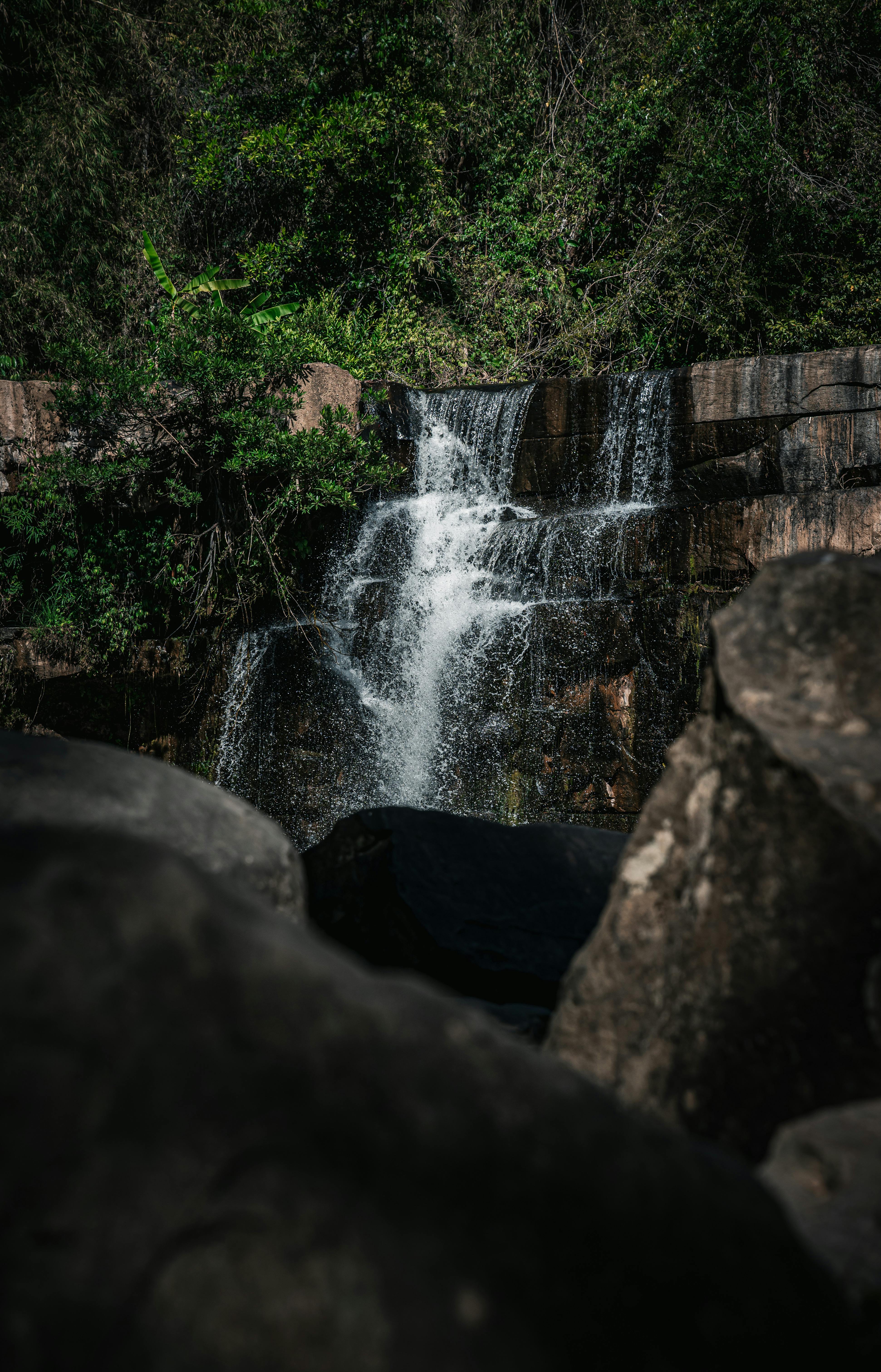 Stream Backgrounds Photos, Download The BEST Free Stream Backgrounds ...