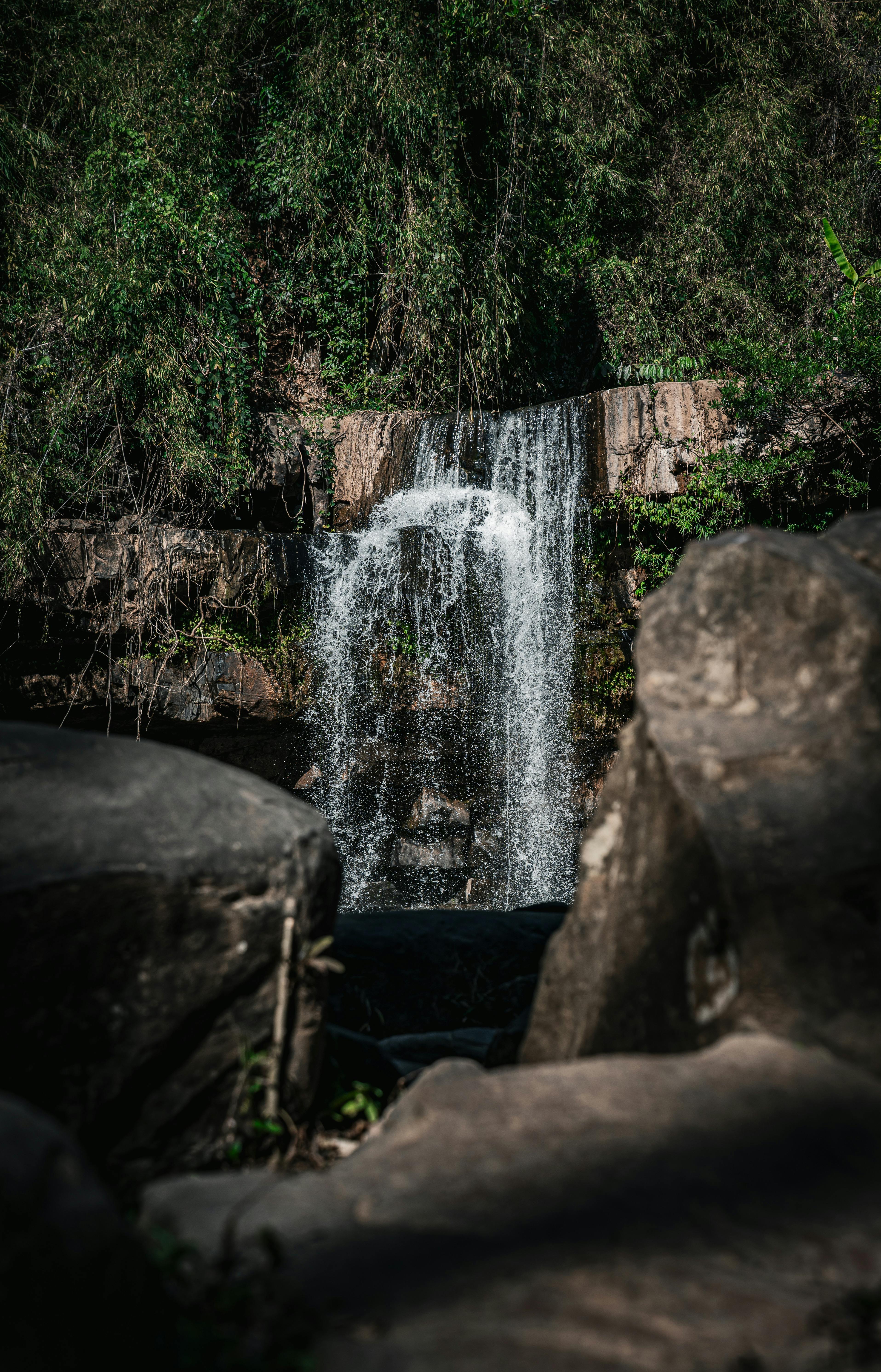 Testimony Images Photos, Download The BEST Free Testimony Images Stock ...