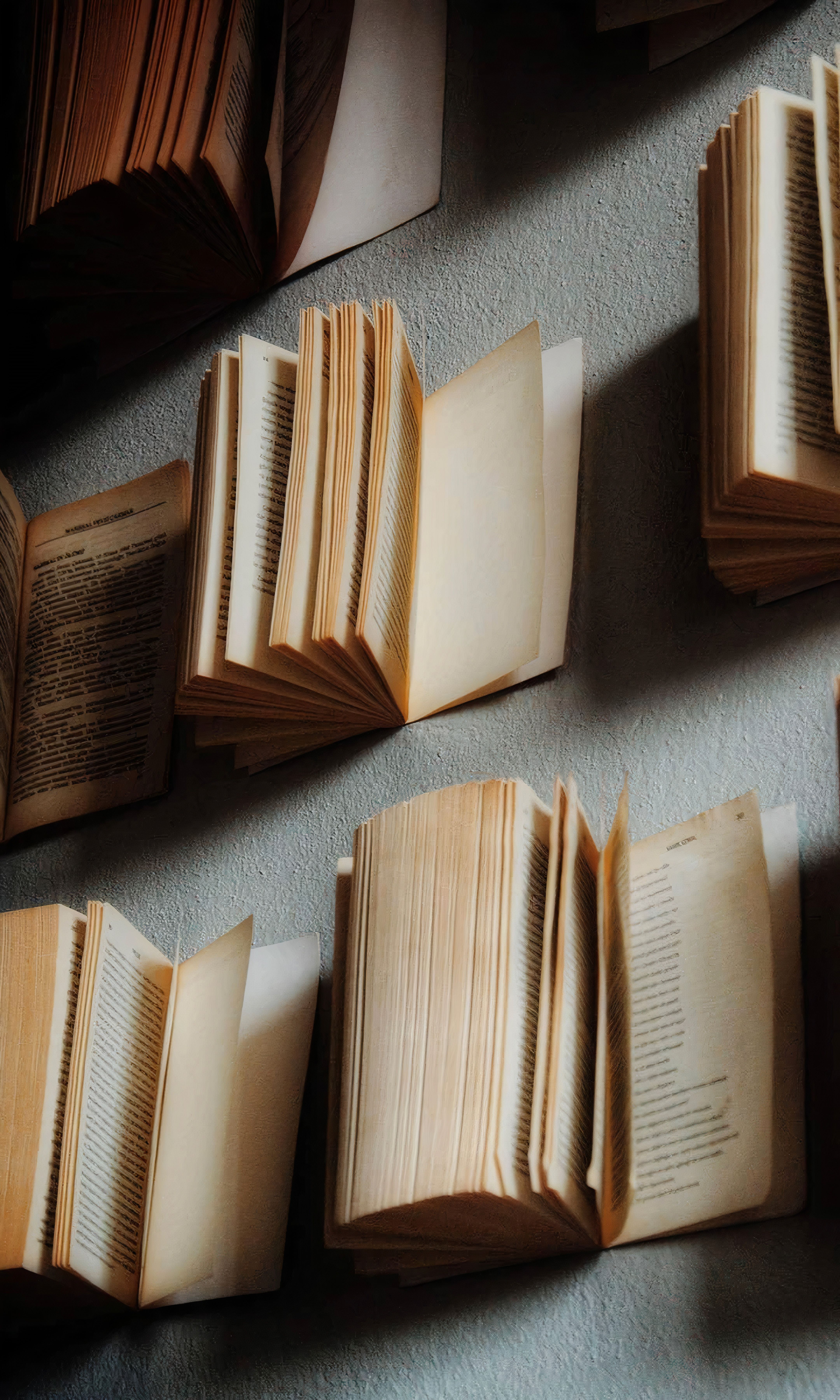 Vintage Open Books on Display Wall Decor · Free Stock Photo