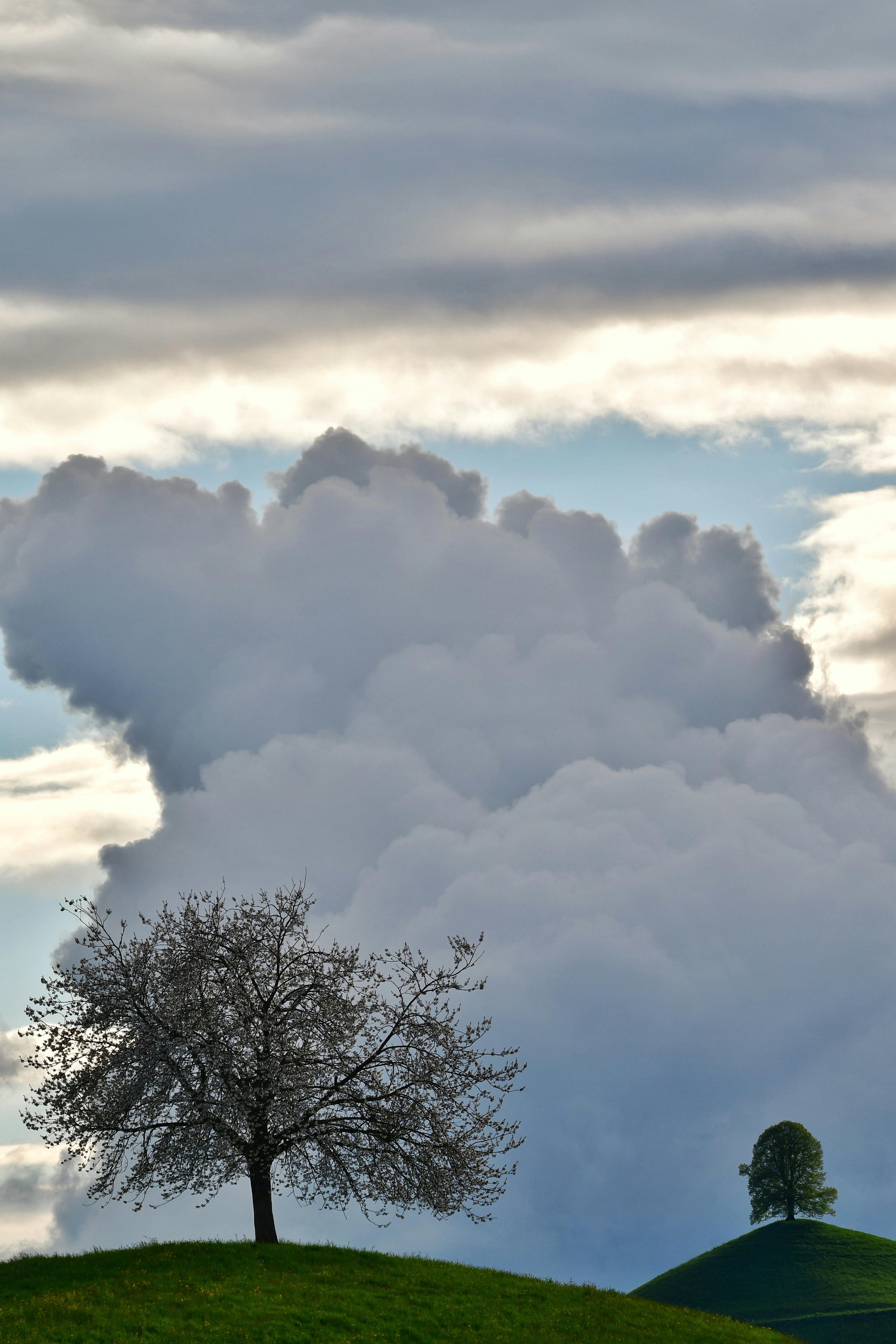 Calming Photos, Download The BEST Free Calming Stock Photos & HD Images