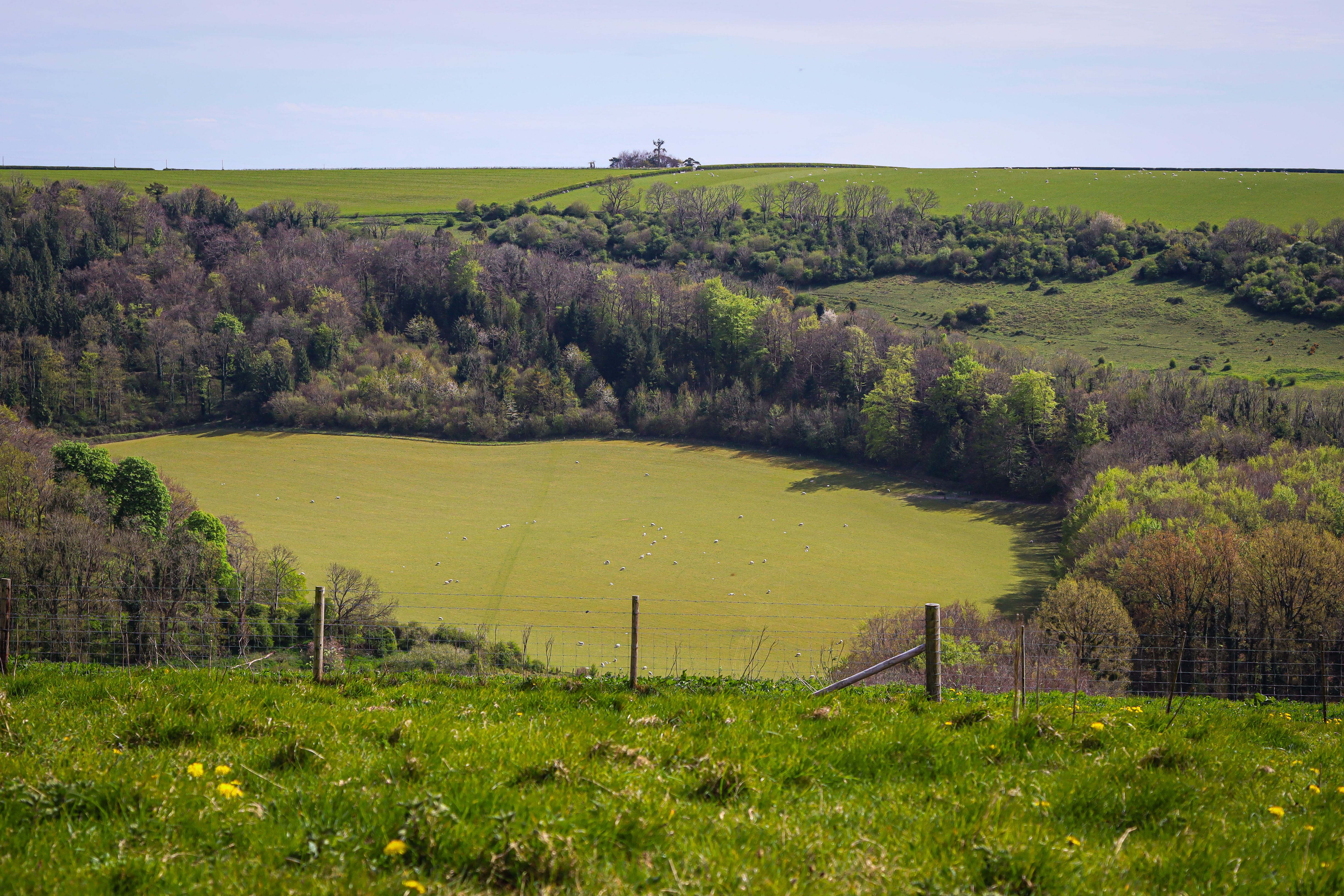 Beautiful English Countryside Landscape Photo · Free Stock Photo