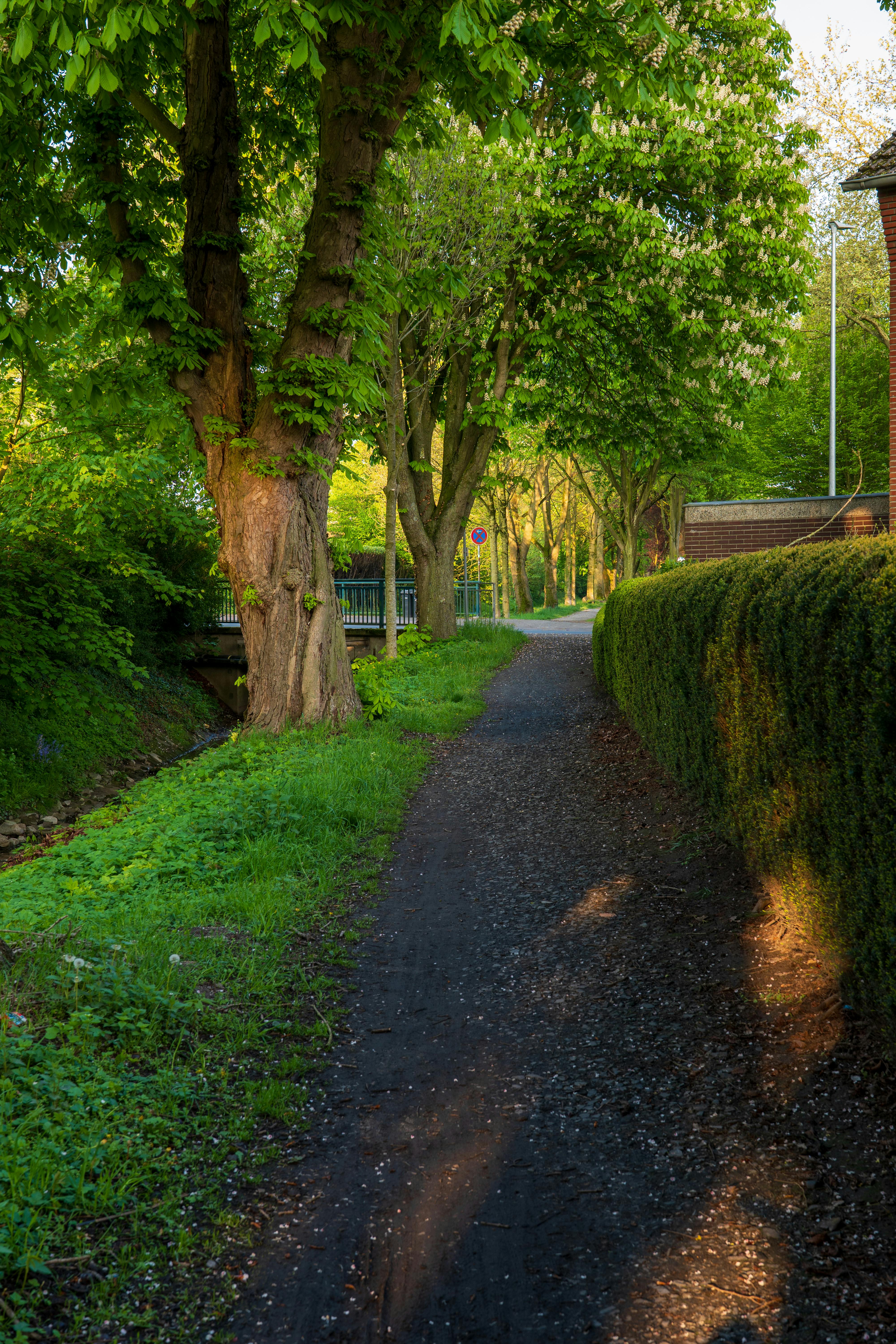 Capal Photo Photos, Download The BEST Free Capal Photo Stock Photos ...