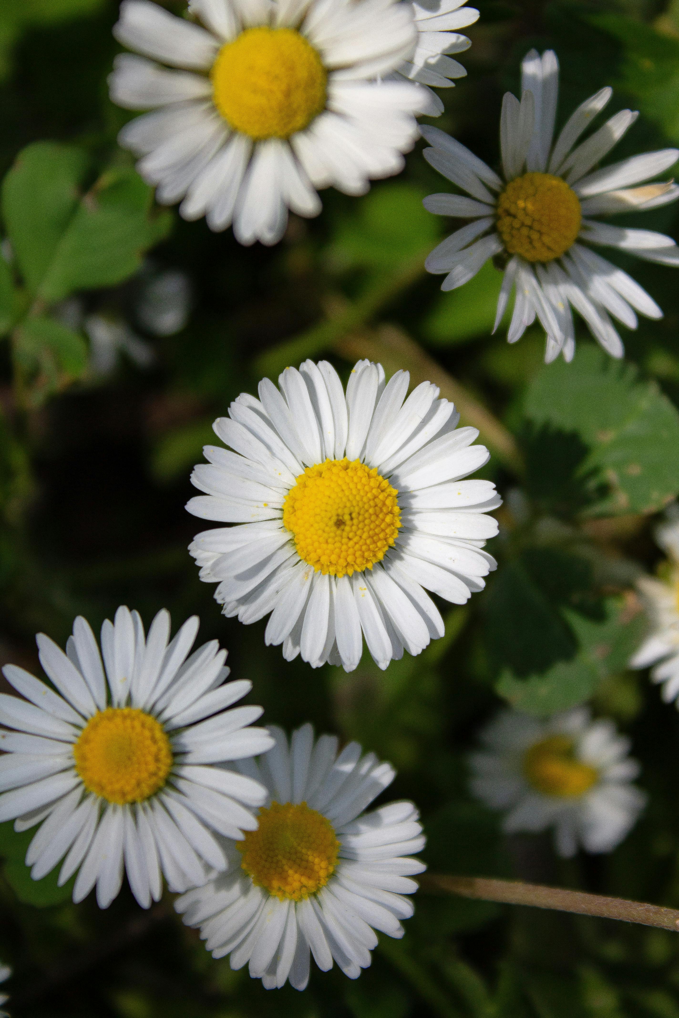 4k Horizontal Wallpapers Photos, Download The BEST Free 4k Horizontal ...