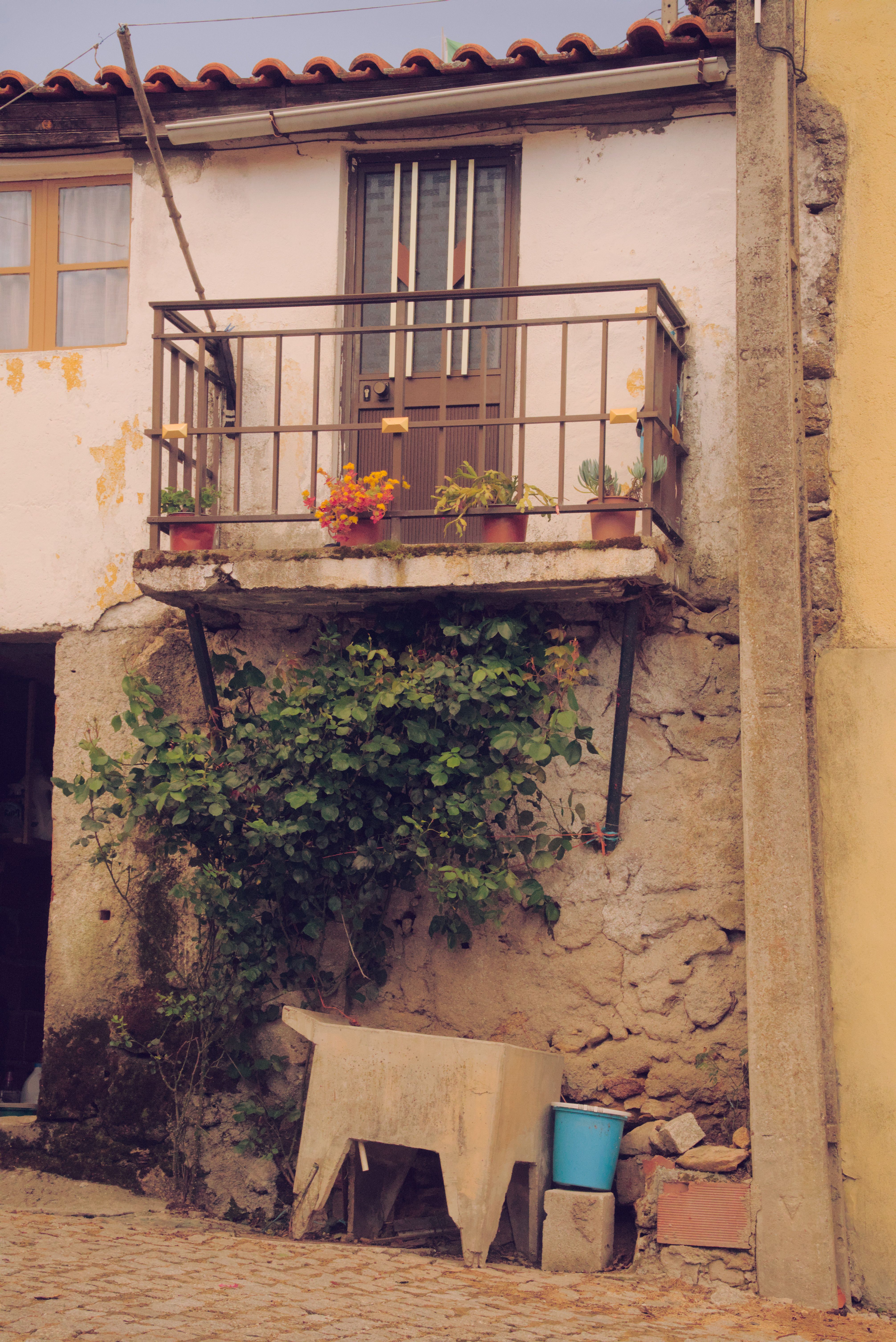 Rural stone building decorated with lush climbing plants · Free Stock Photo