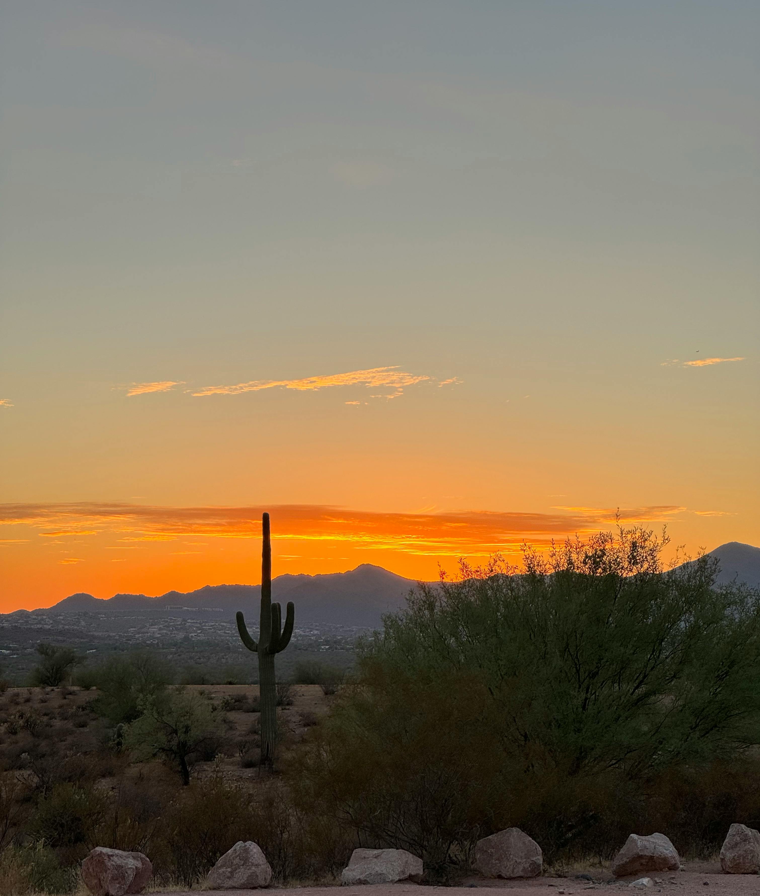 Stephen Martin - Photography