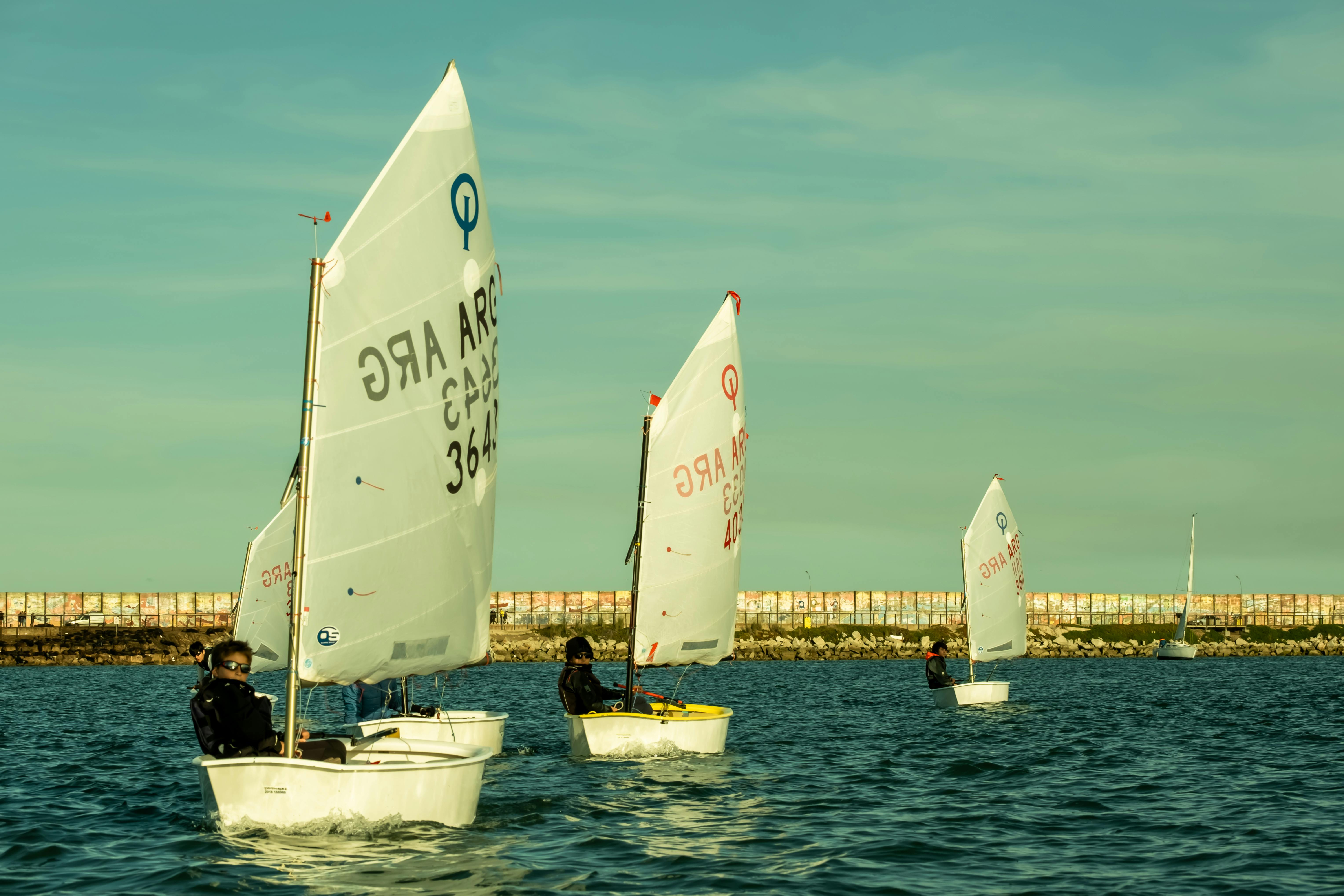 Optimist Dinghy Sailing Race at Sea · Free Stock Photo
