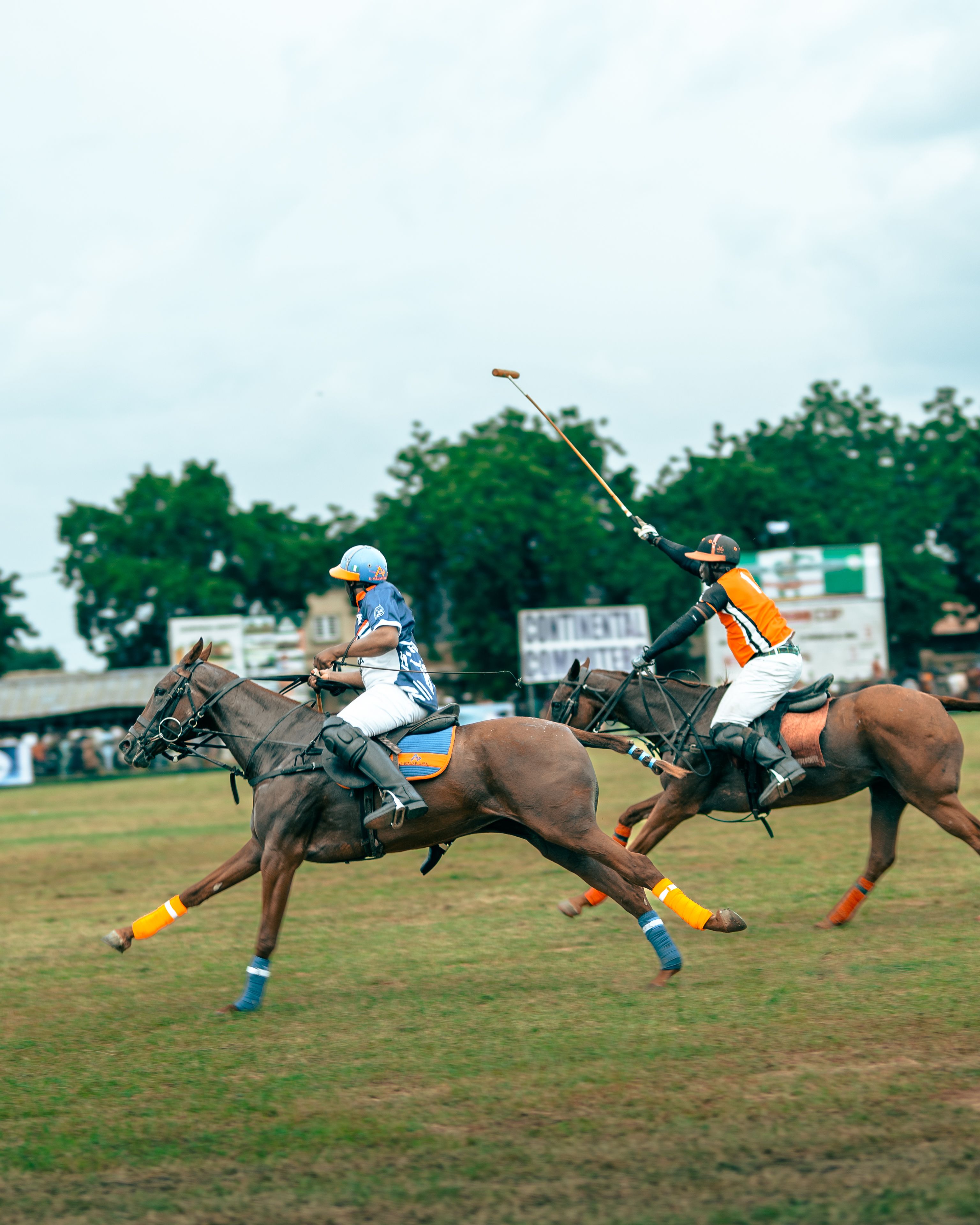 Dynamic Polo Match in Action on Green Field · Free Stock Photo