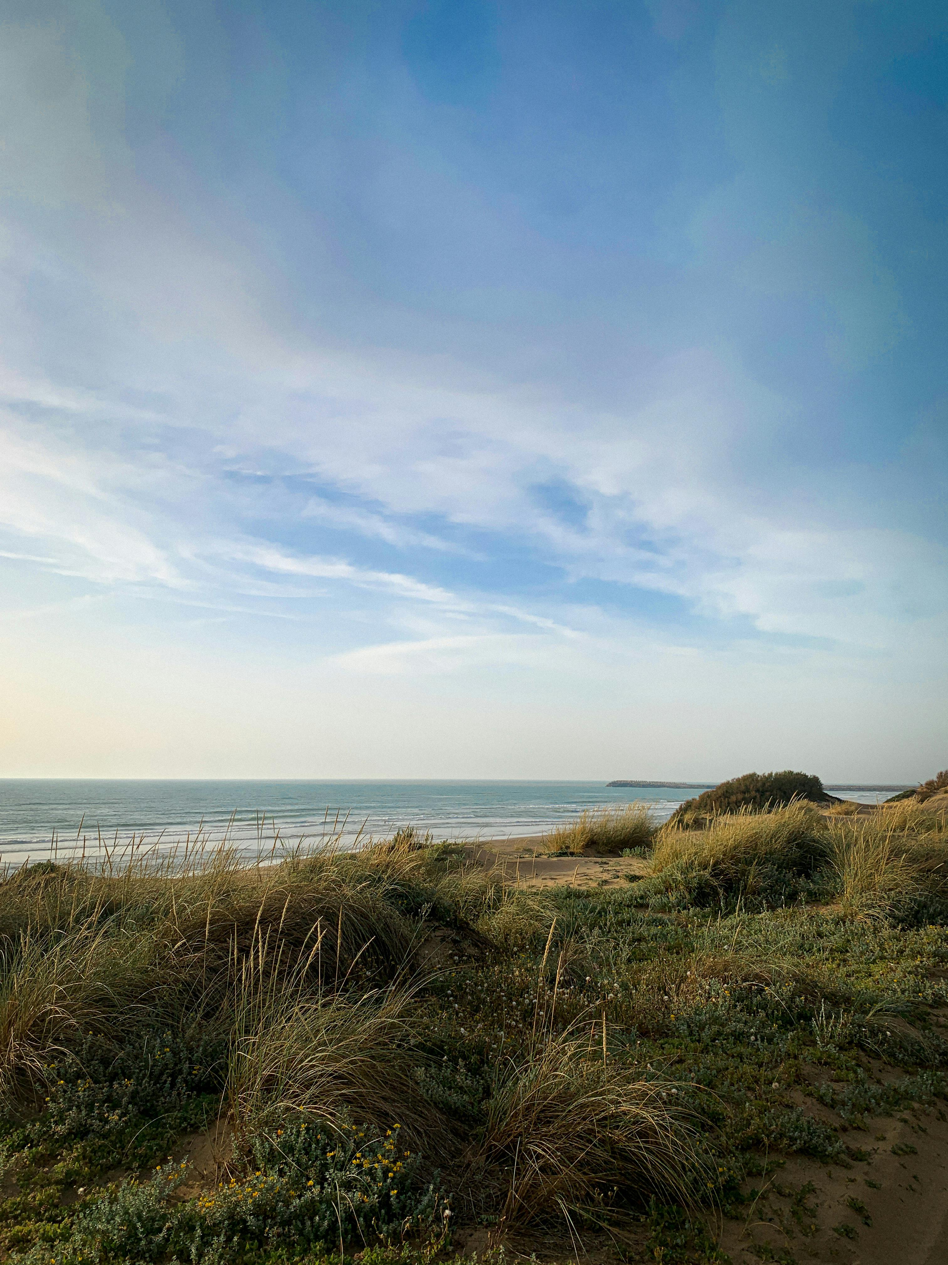 Ocean Beach Photos, Download The BEST Free Ocean Beach Stock Photos ...