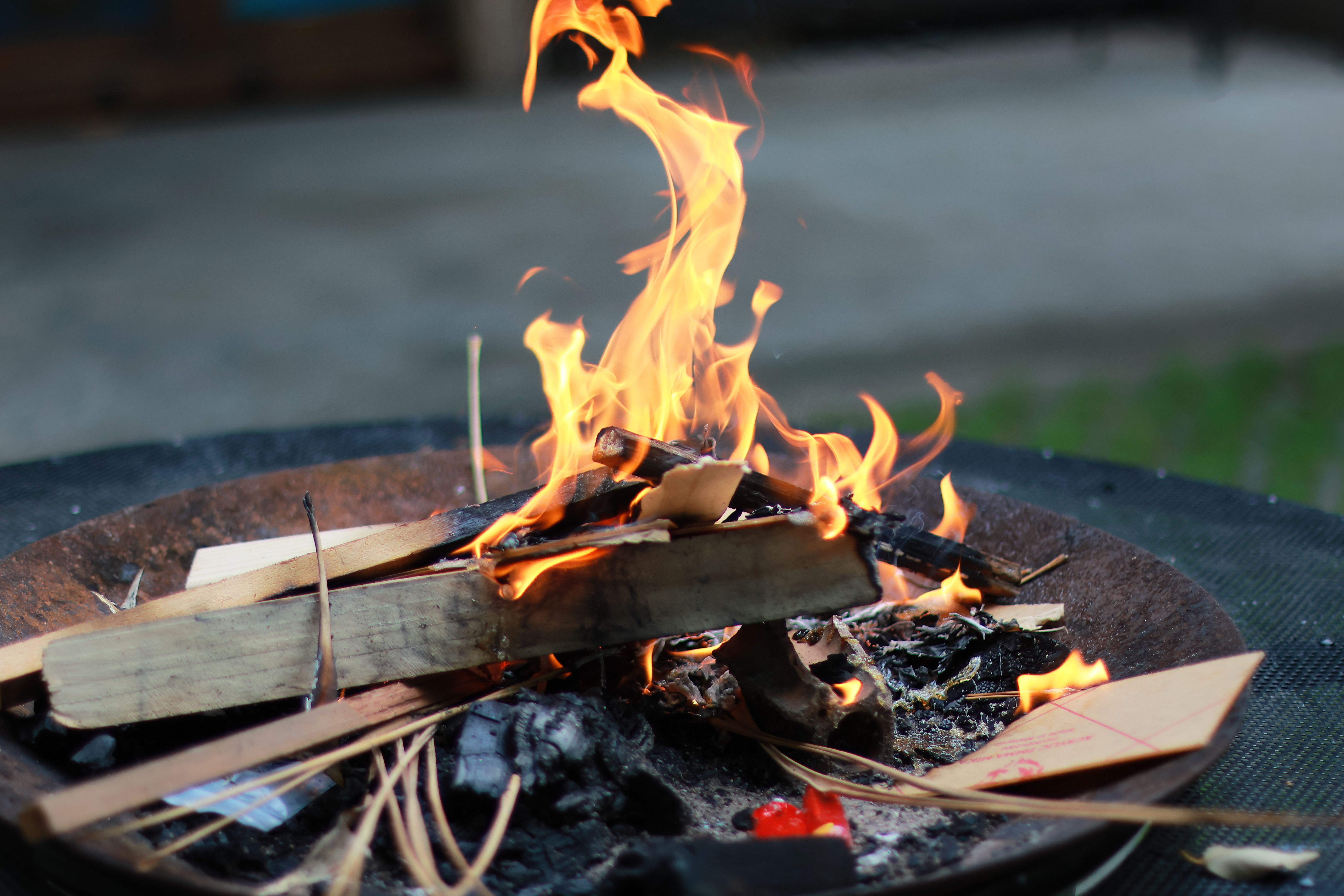 Cozy Outdoor Bonfire with Burning Wood · Free Stock Photo