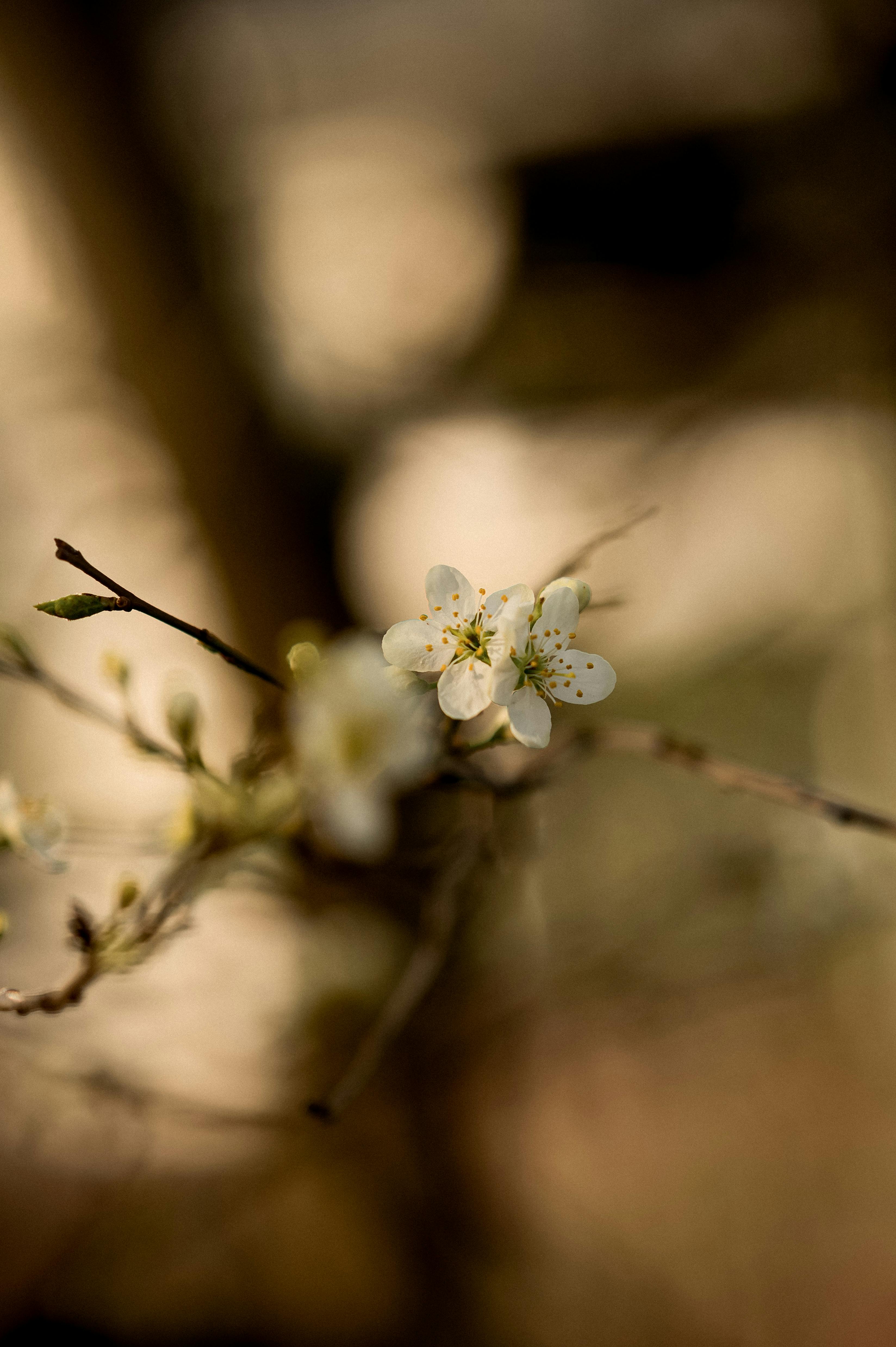 Netflix Background Photos, Download The BEST Free Netflix Background ...