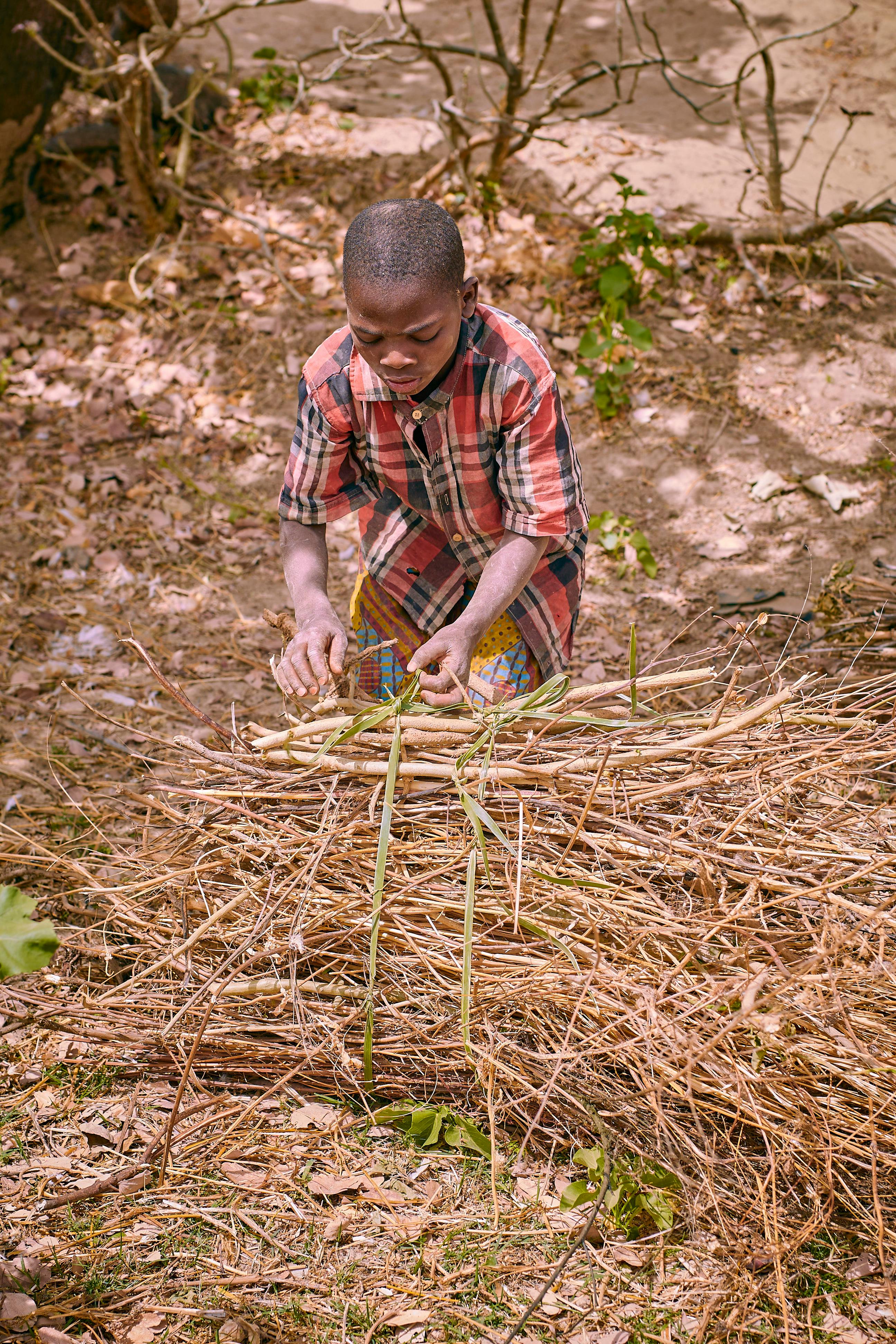 Boy Collecting Dried Sticks Outdoors · Free Stock Photo