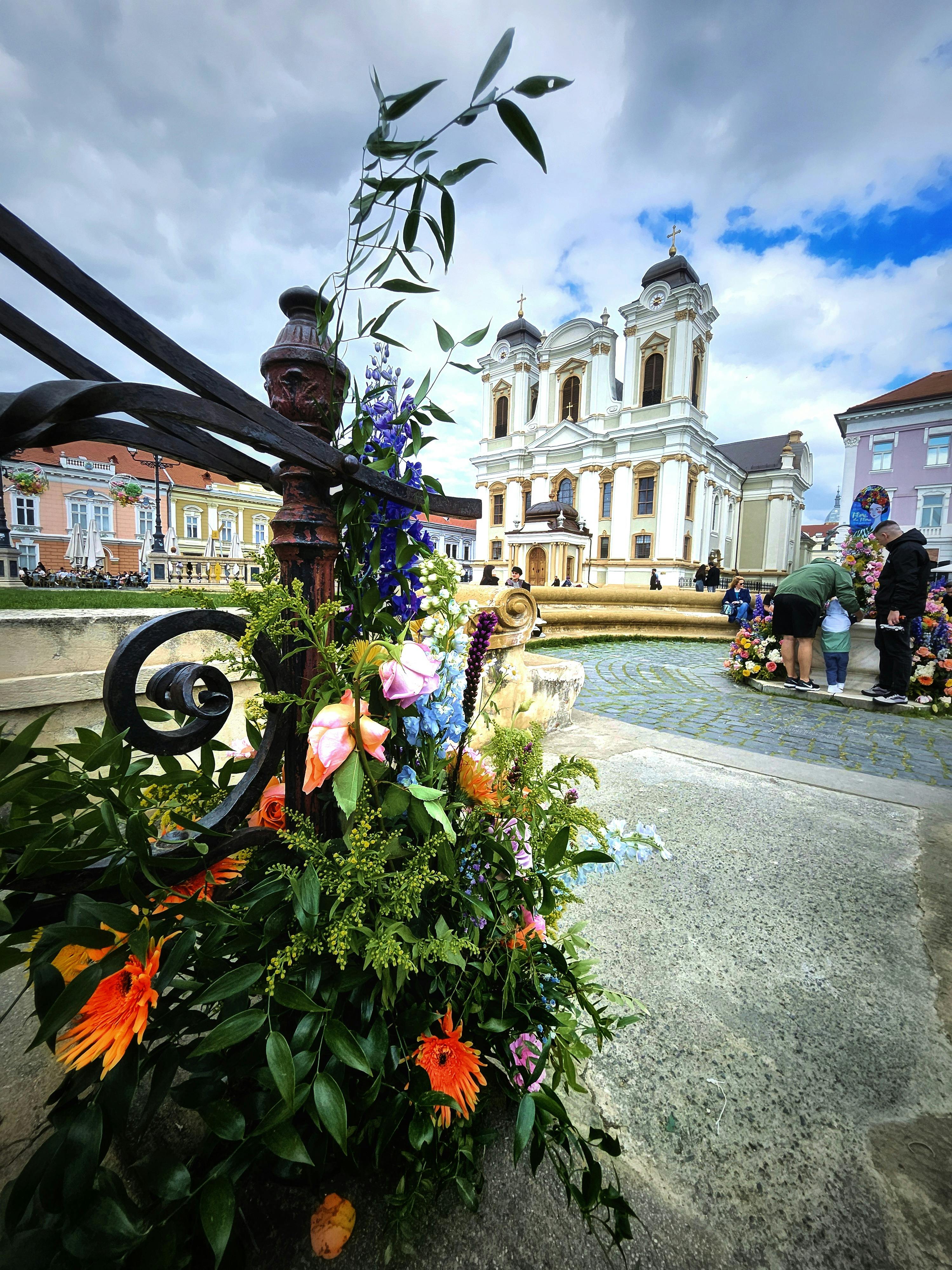 Emilia - Fotografía