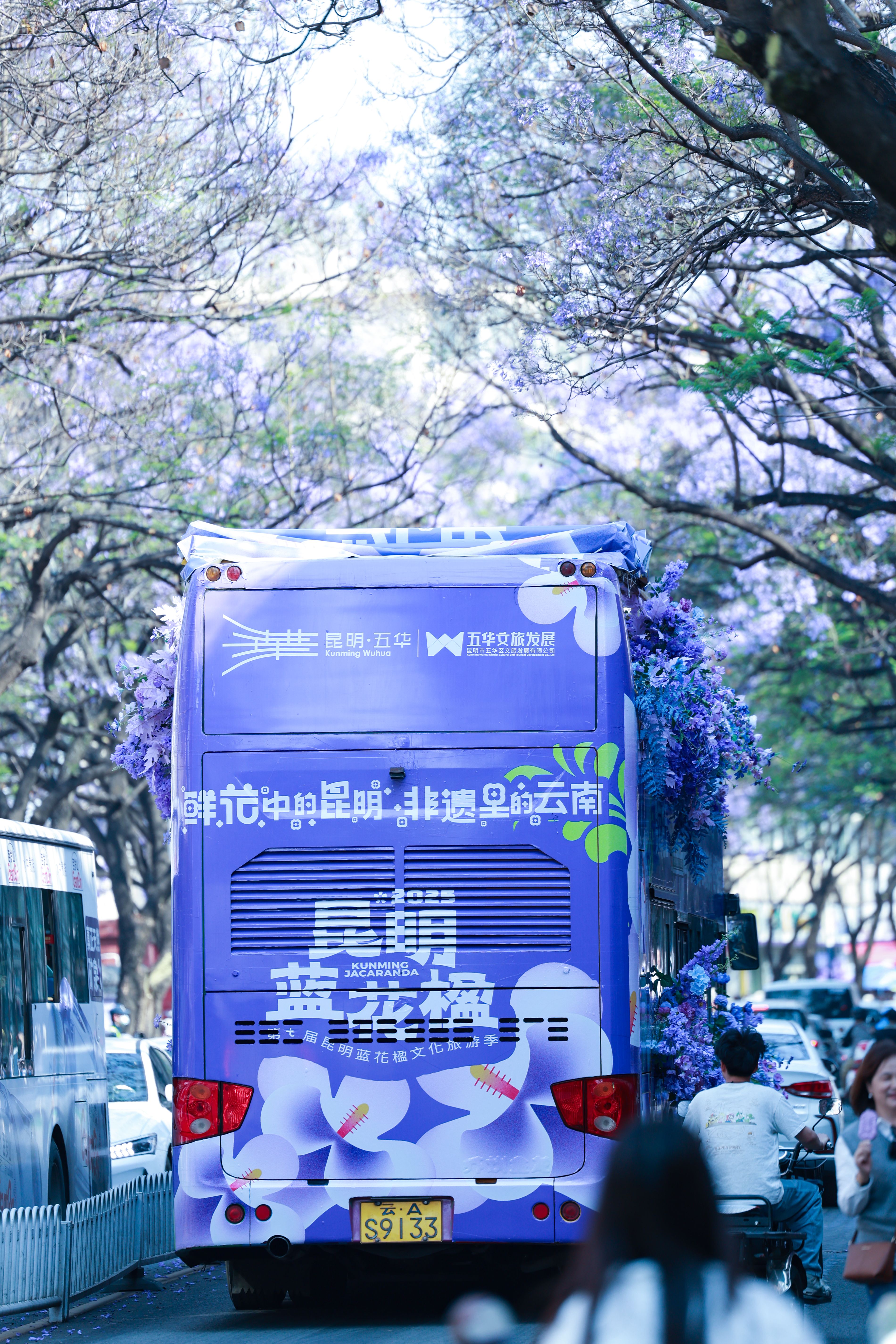 Purple Double-Decker Bus in Blooming Jacaranda Avenue · Free Stock Photo