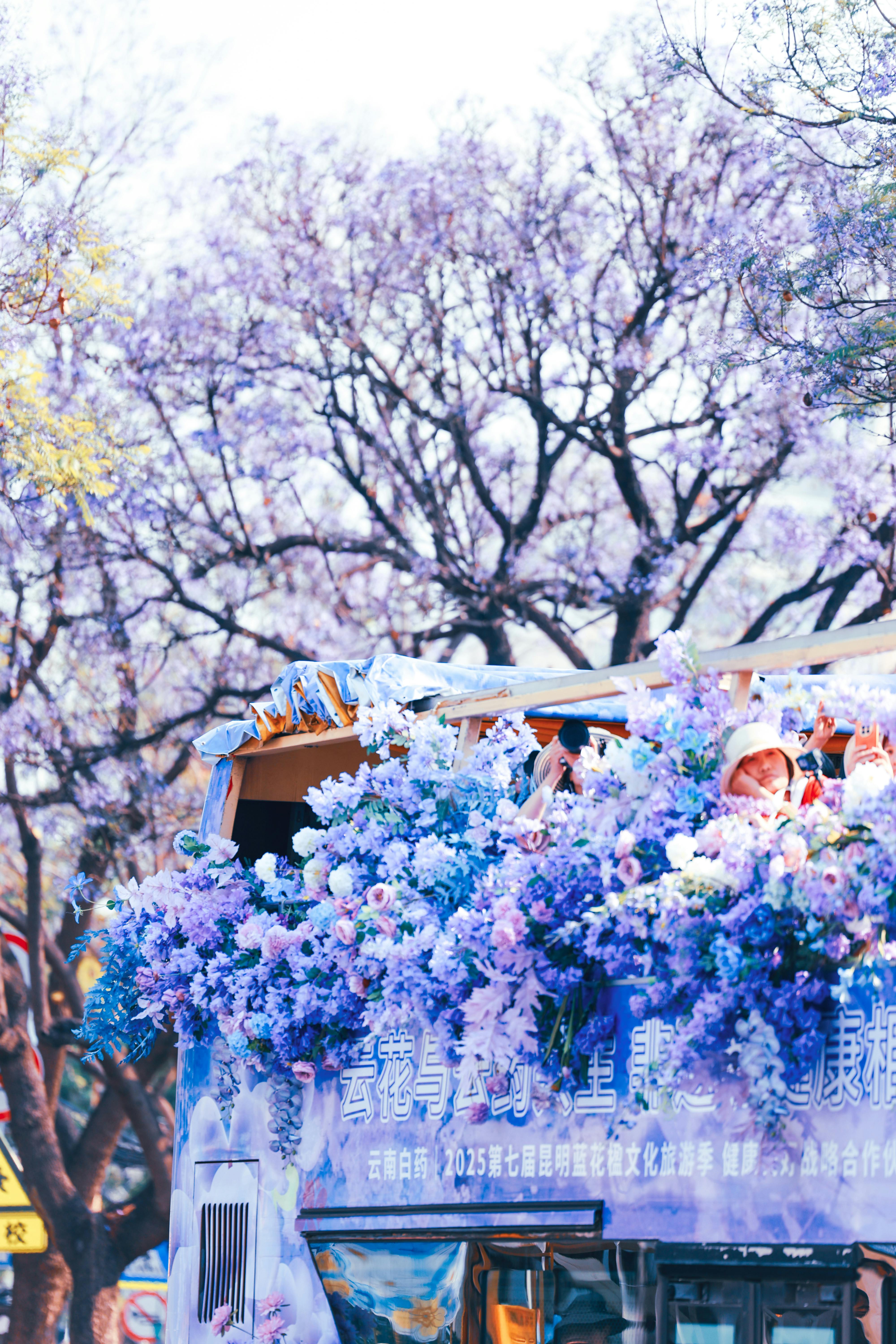 Saudi Purple Festival Photos, Download The BEST Free Saudi Purple ...