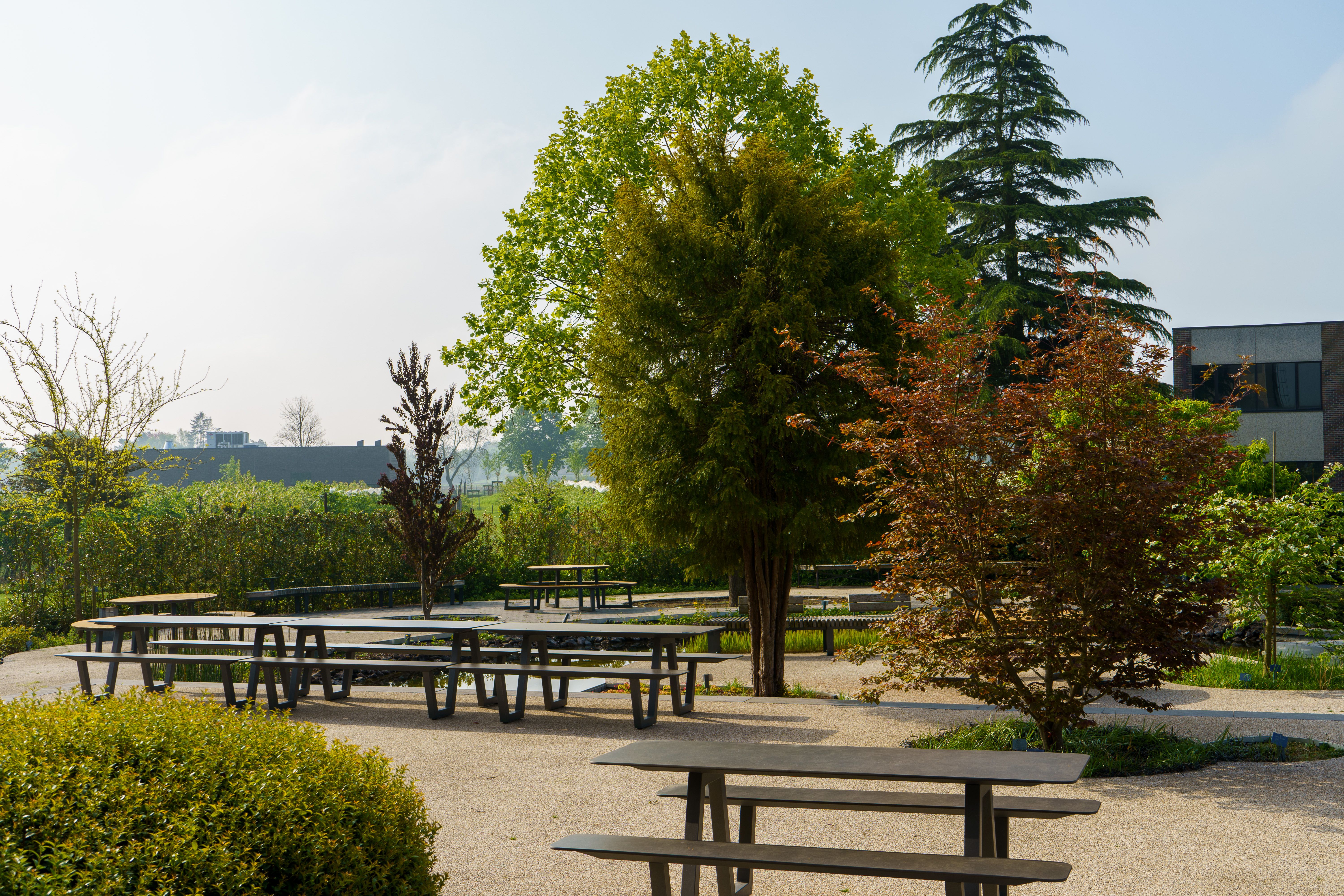 Peaceful Park Scene with Empty Picnic Tables · Free Stock Photo