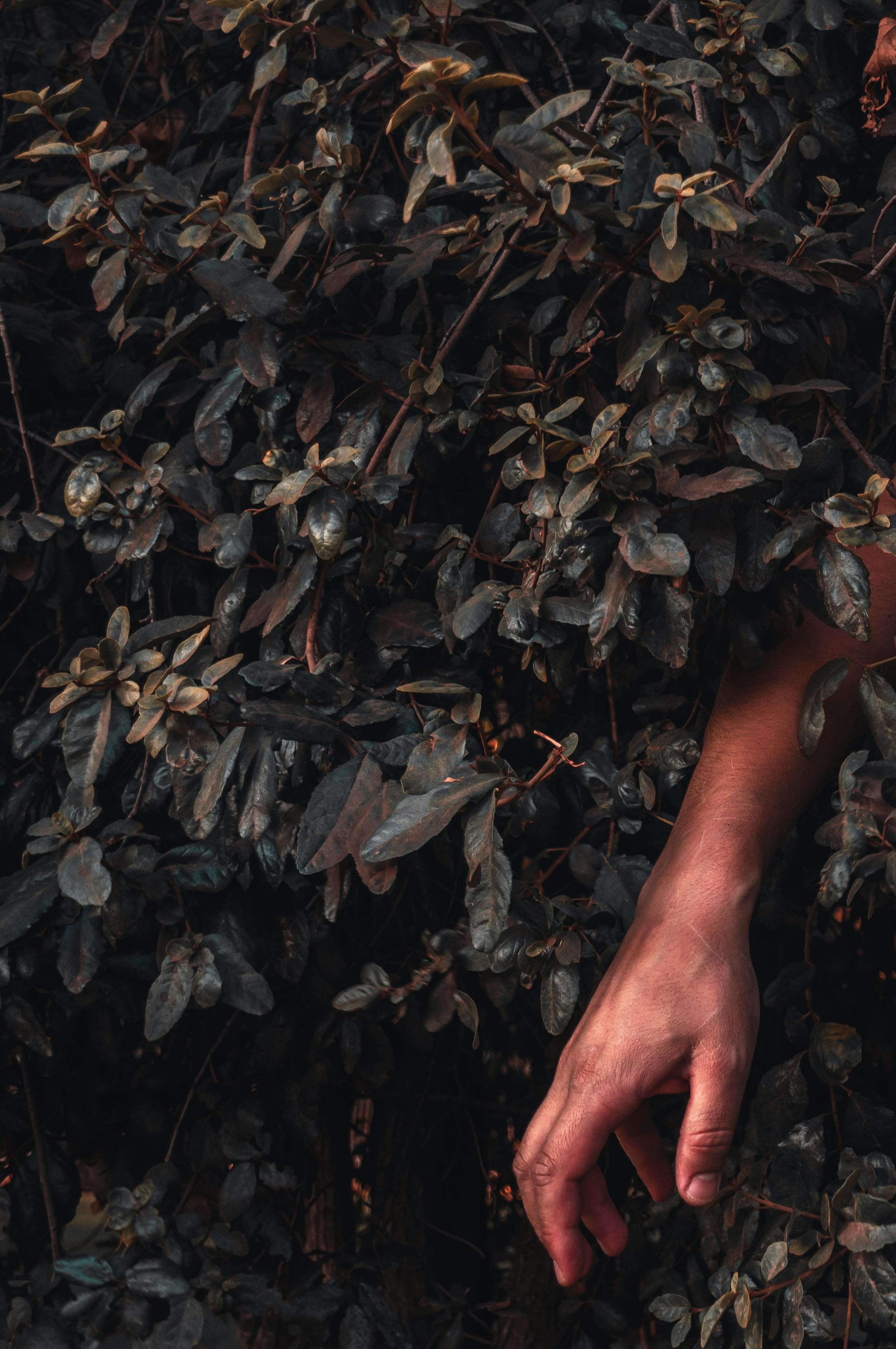 Man Raising His Hand · Free Stock Photo